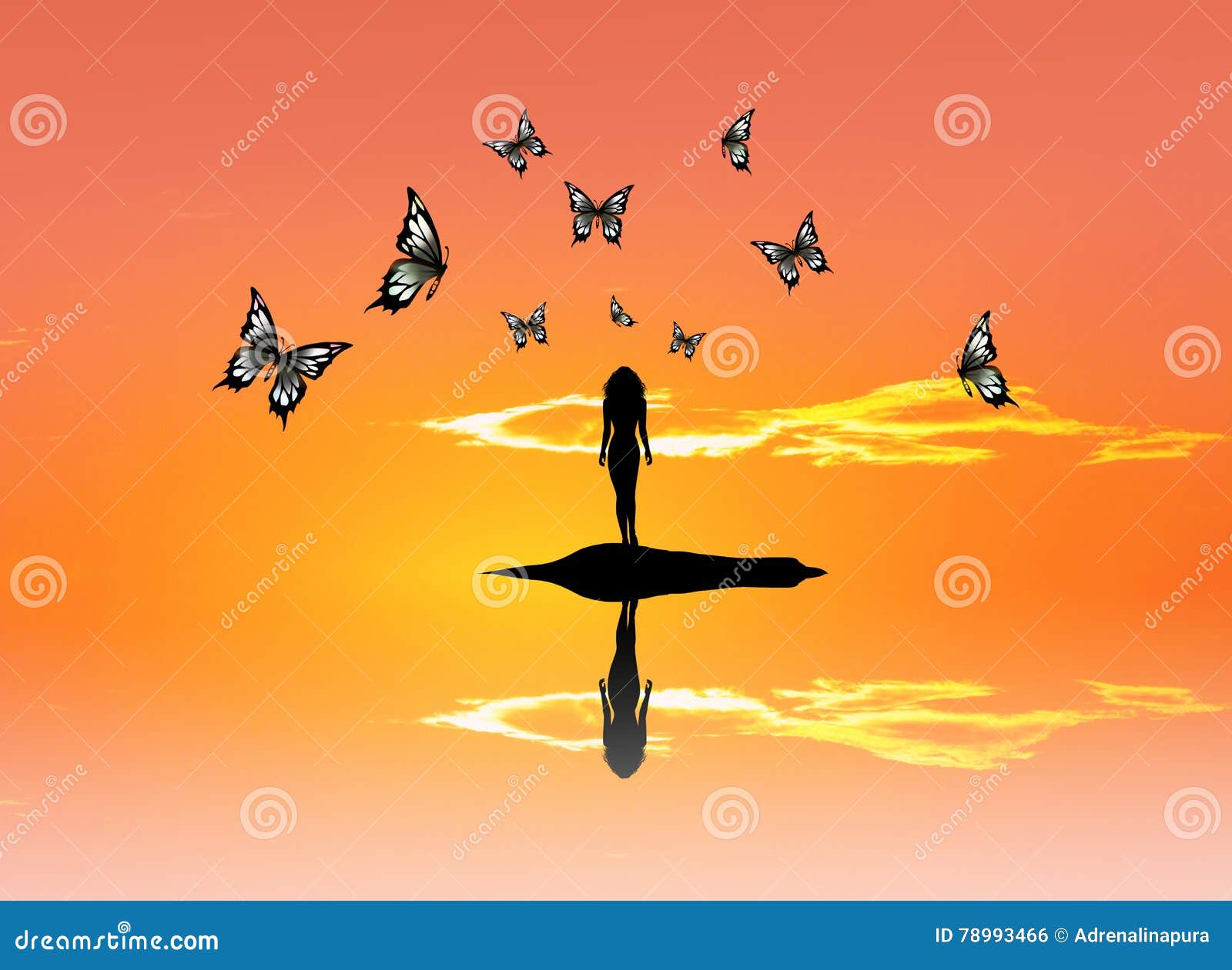 Butterflies sunset stock illustration. Illustration of beautiful - 78993466