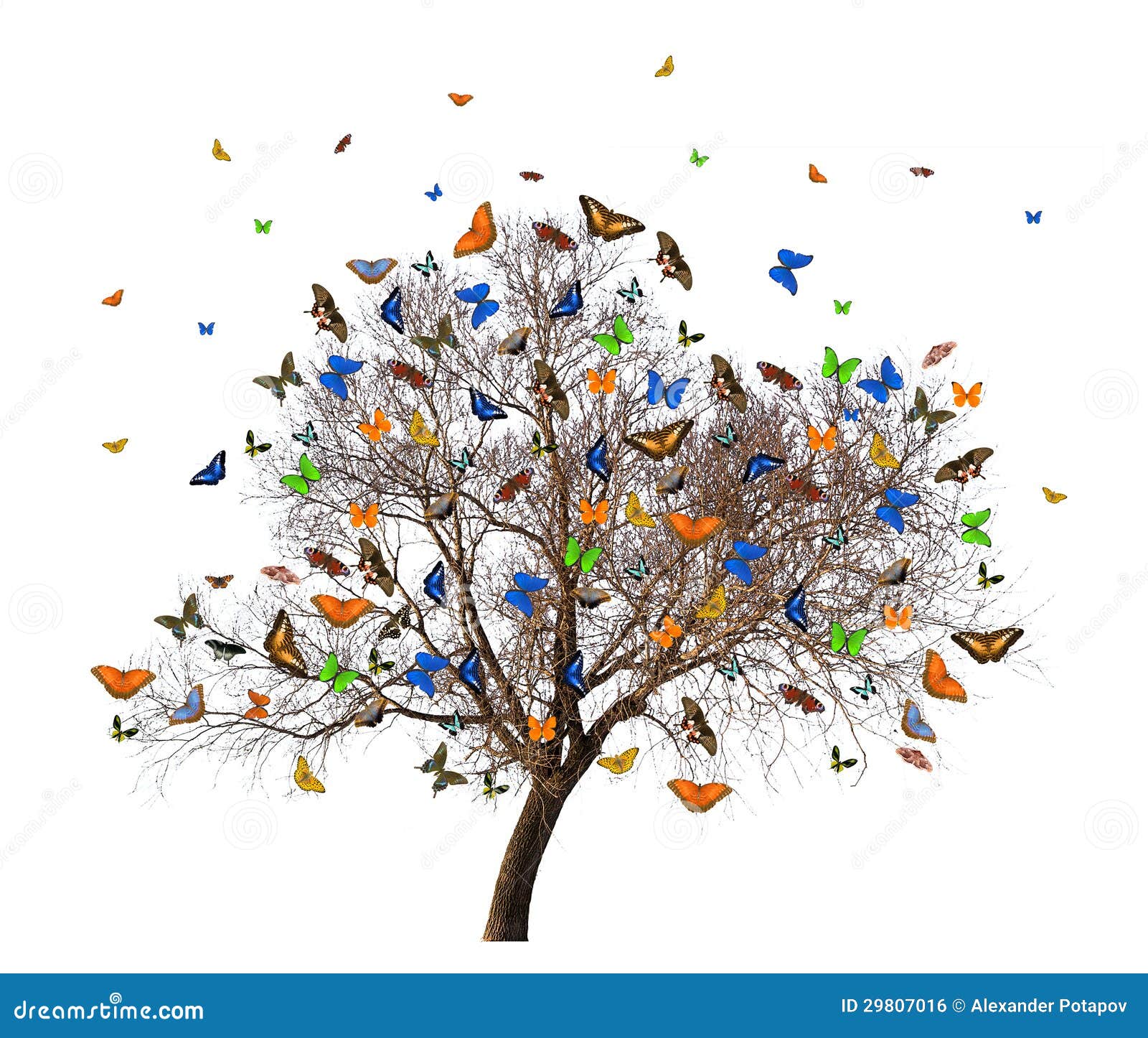 Large Bare Isolated Tree and Butterflies Stock Photo - Image of wood ...
