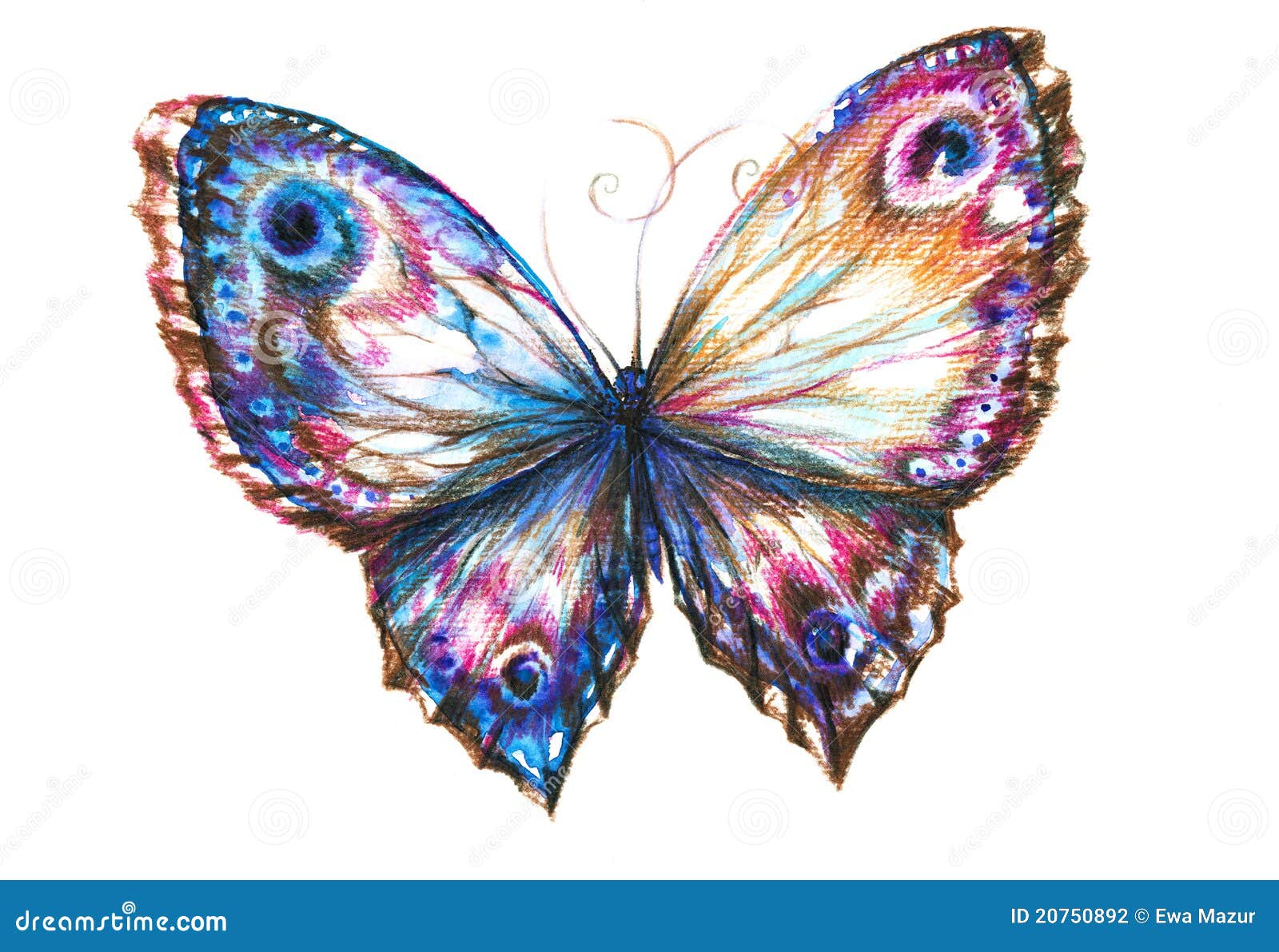 Butterfly stock illustration. Illustration of elegance - 20750892