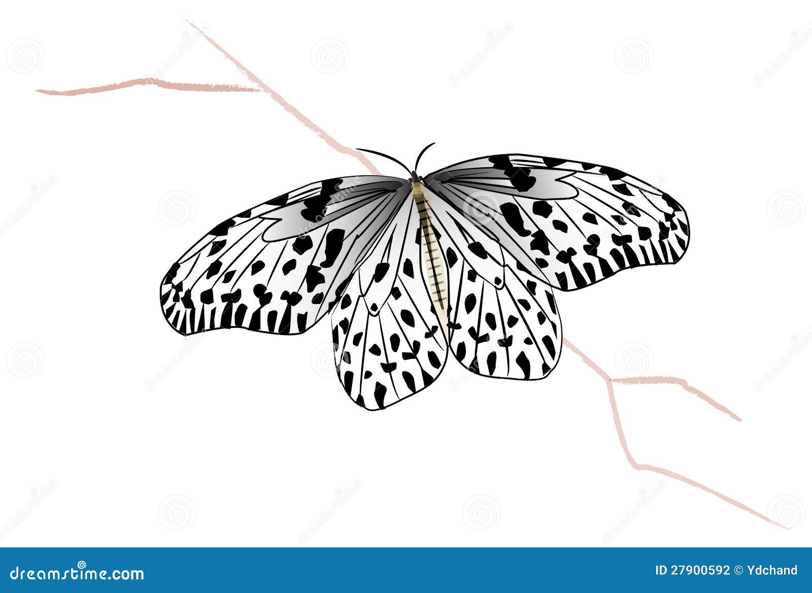 Idea Jasonia Stock Illustrations – 1 Idea Jasonia Stock Illustrations ...