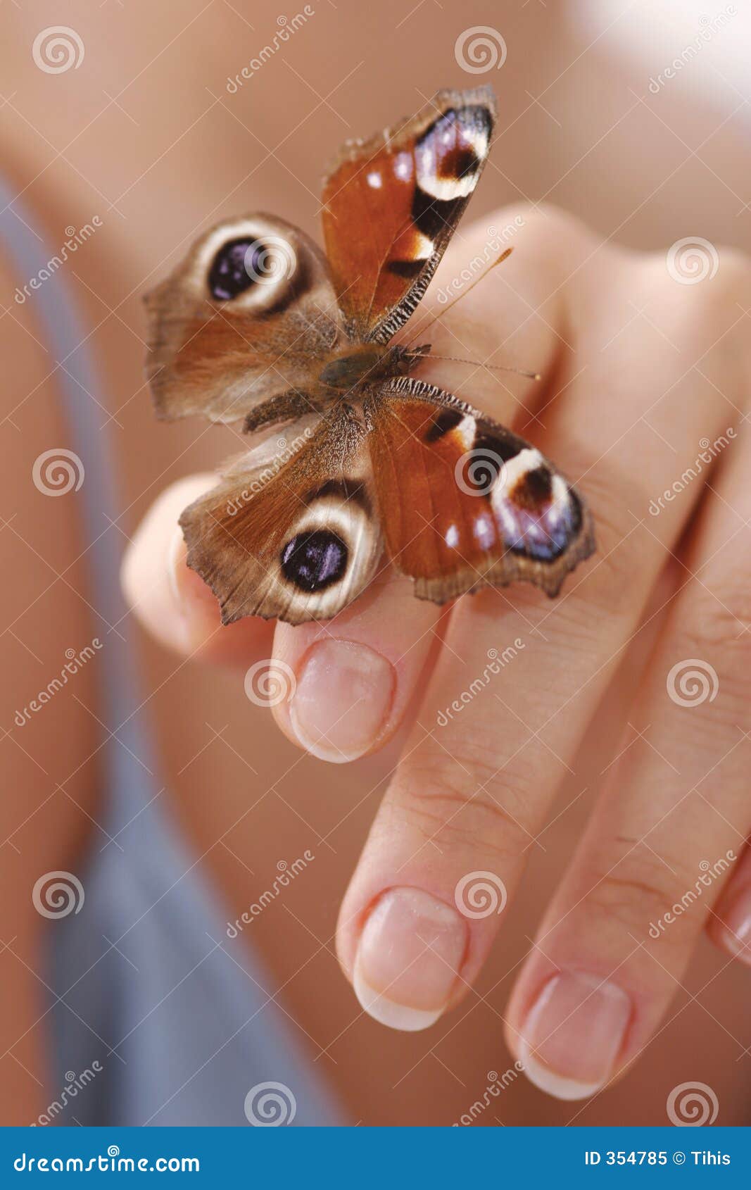 Butterfly stock image. Image of girl, gentle, macro, woman - 354785