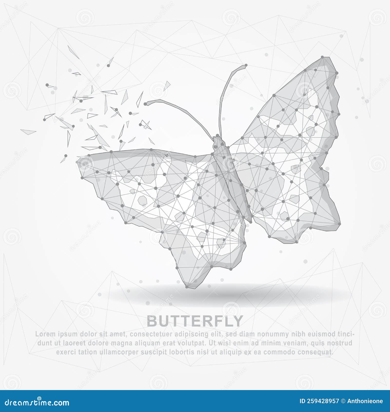 Butterfly Abstract Mesh Line and Composition Digitally Drawn Wire Frame ...