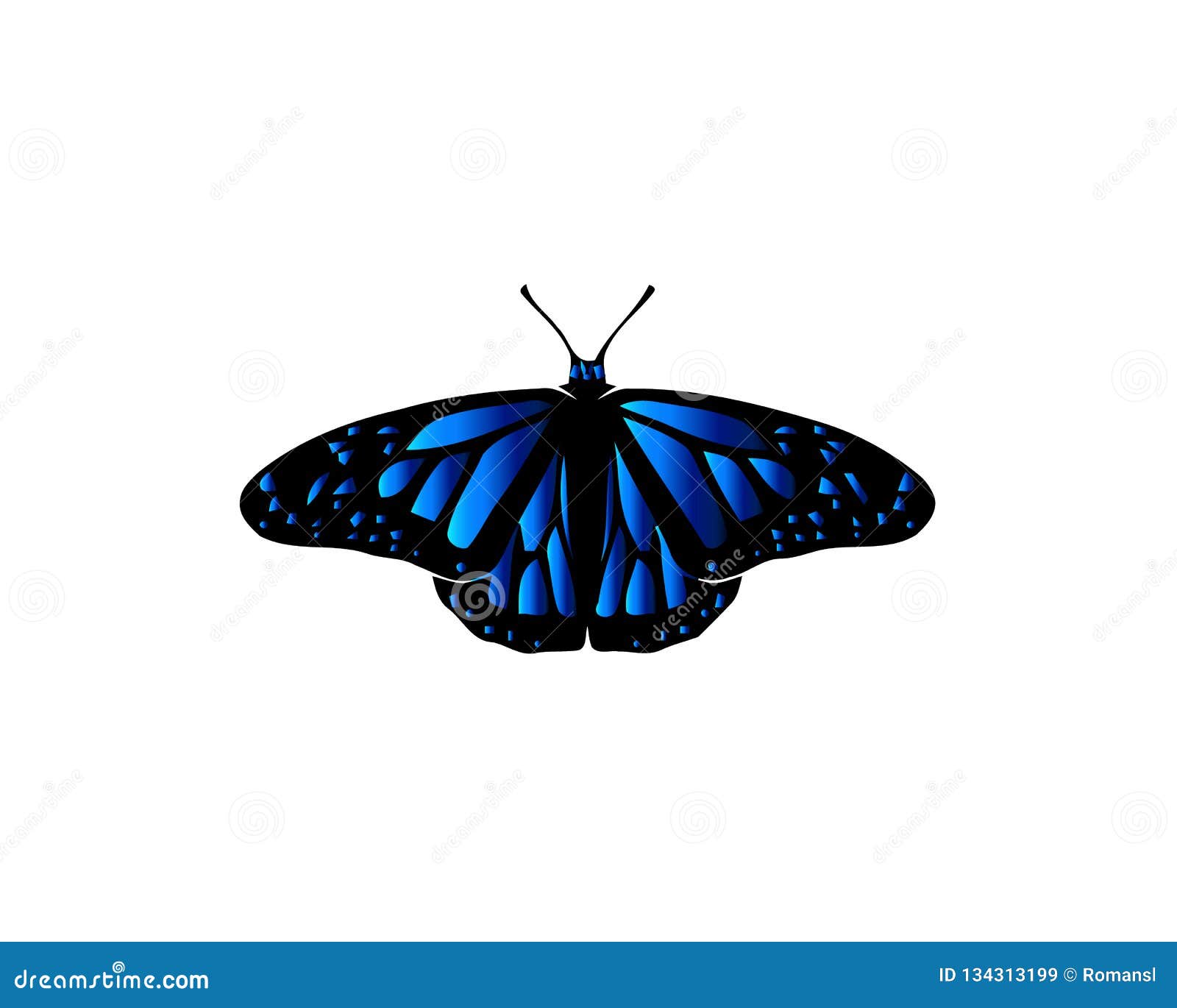 Butterfly with Big Blue Wings on White Background Stock Vector ...
