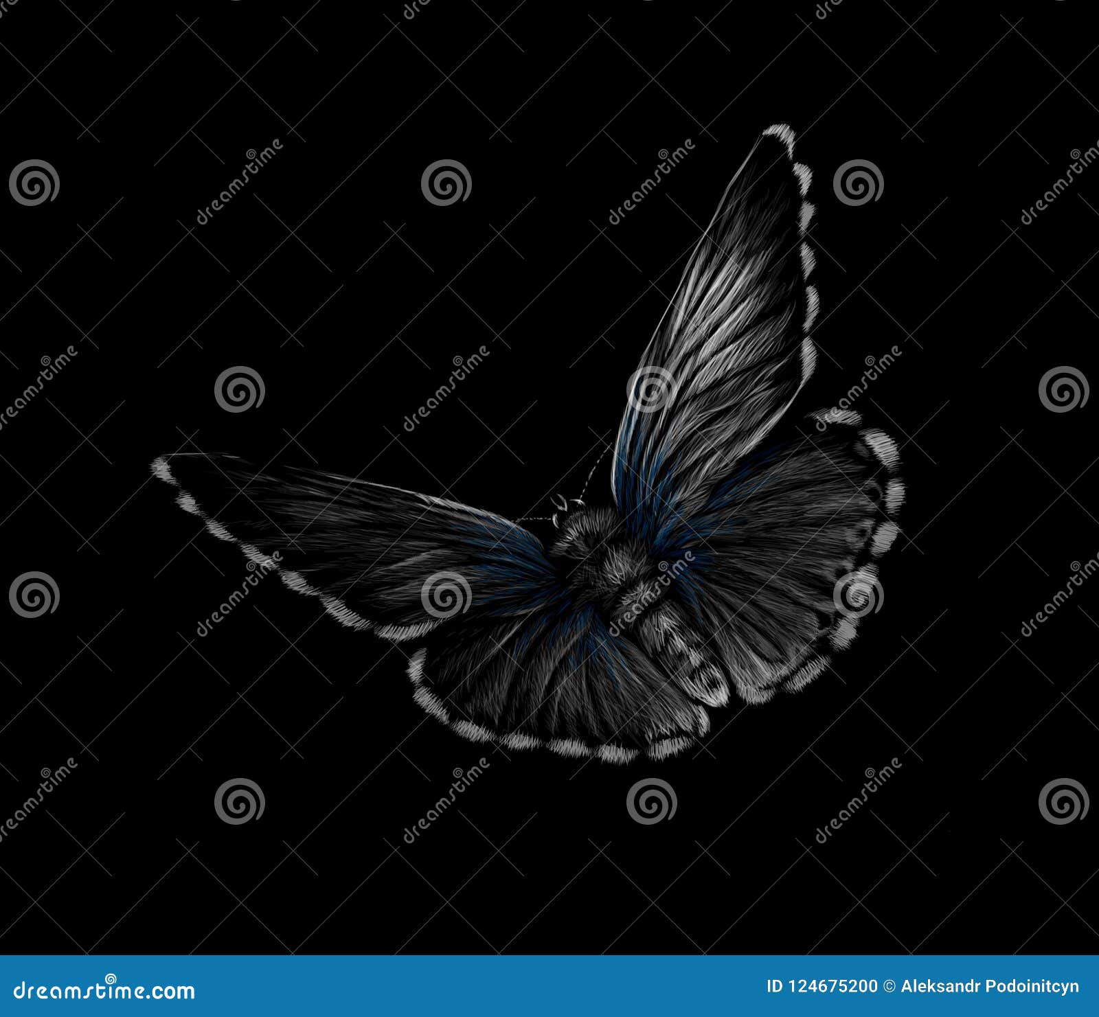 Butterfly on a Black Background, Hand Drawn Stock Vector - Illustration ...