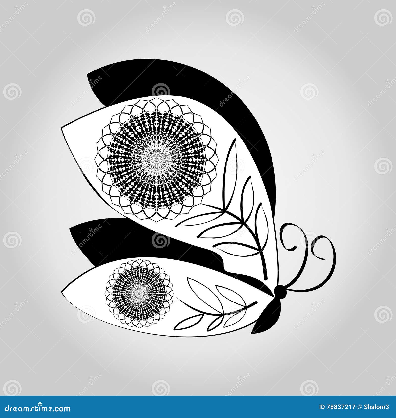 Butterfly Black and White Drawing on Gray Gradient Background Stock ...