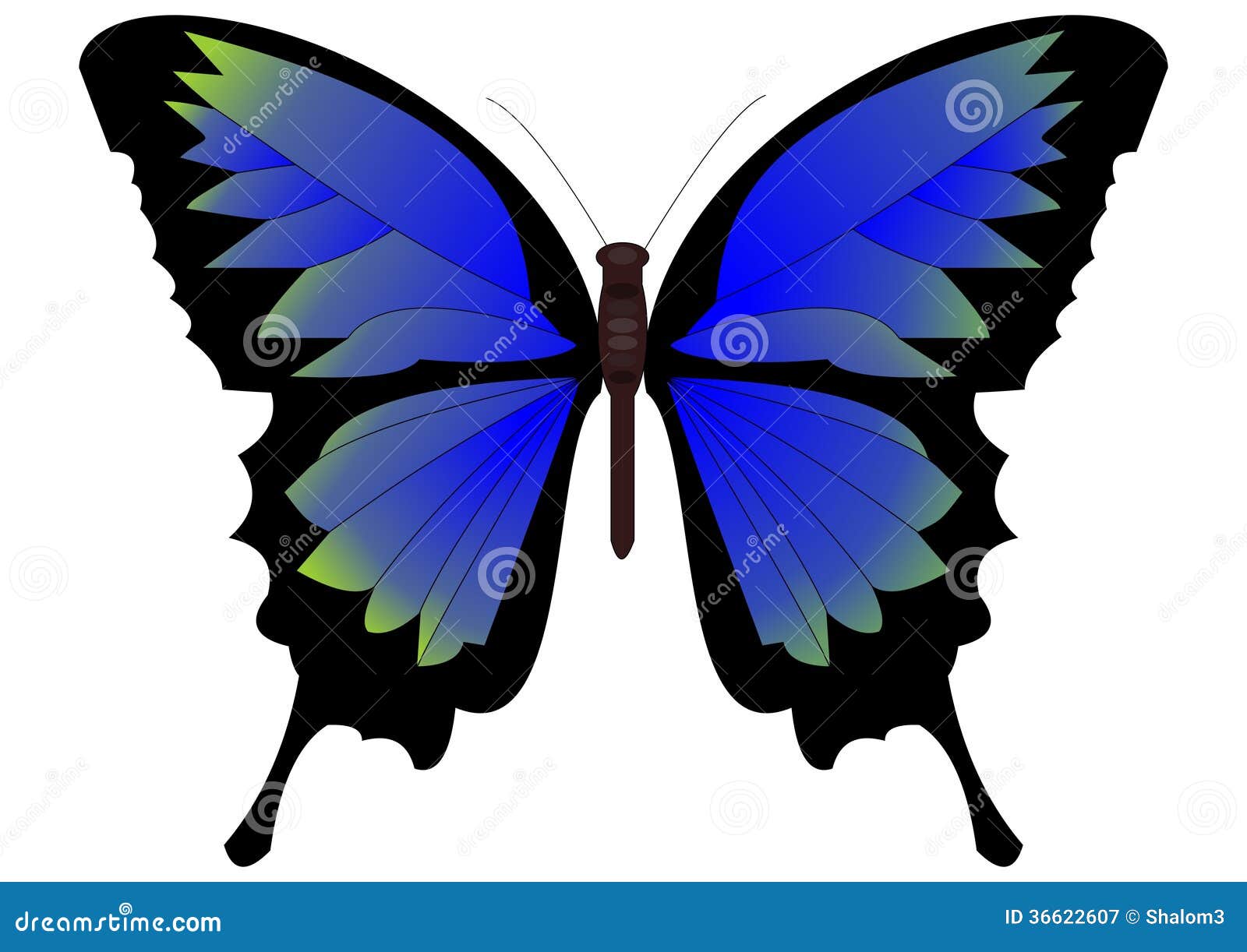 Butterfly in Blue-green Design Stock Vector - Illustration of single ...