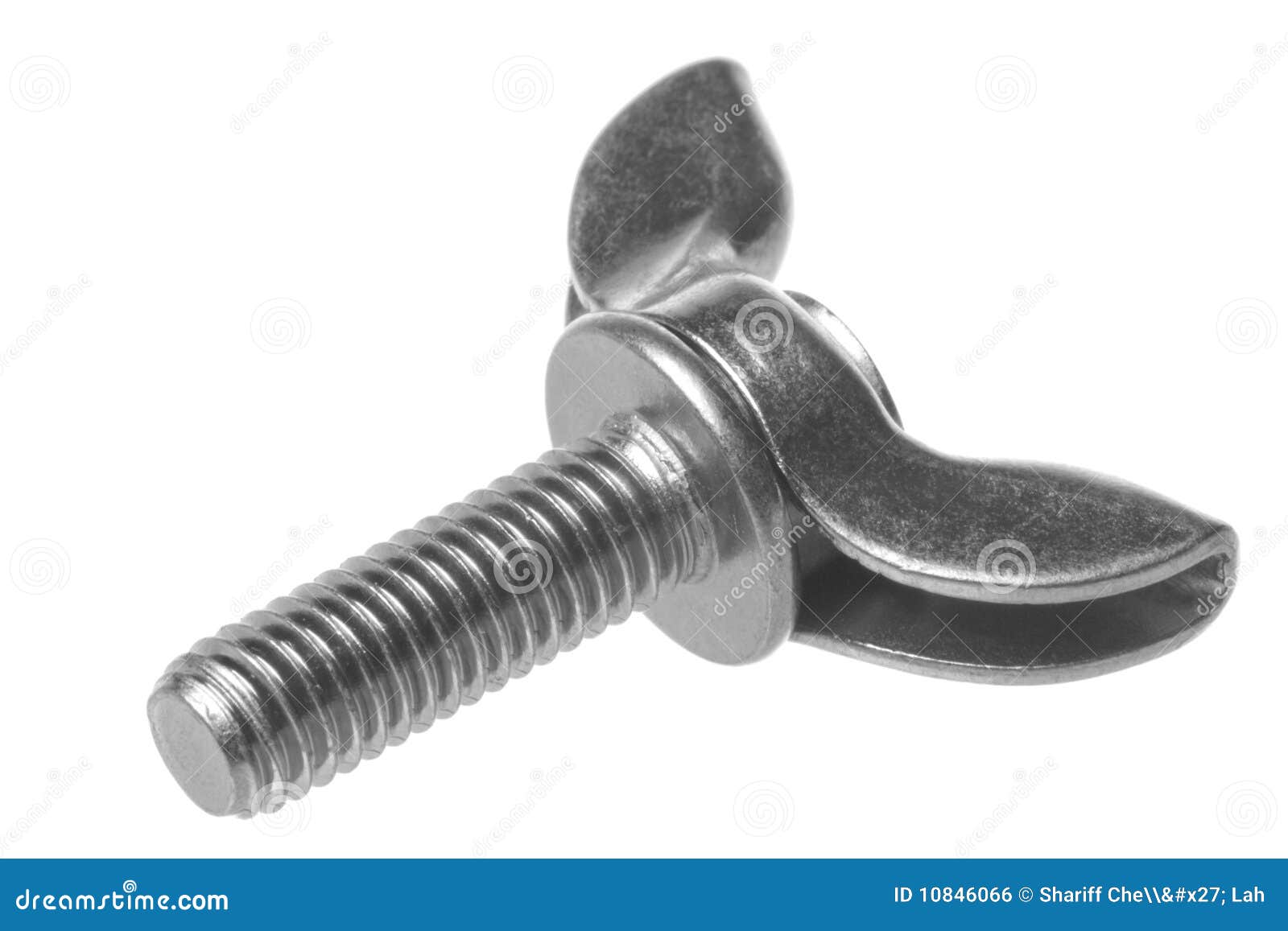 Butterfly Bolt Macro Isolated Stock Photo - Image of steel, fastener ...