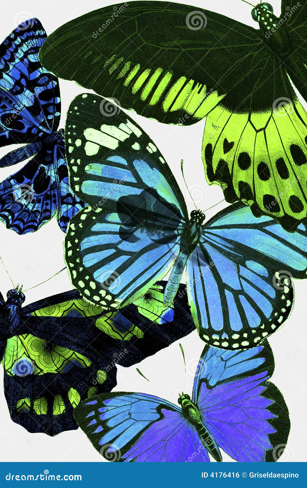 Butterfly Botanical stock illustration. Illustration of butterfly - 4176416