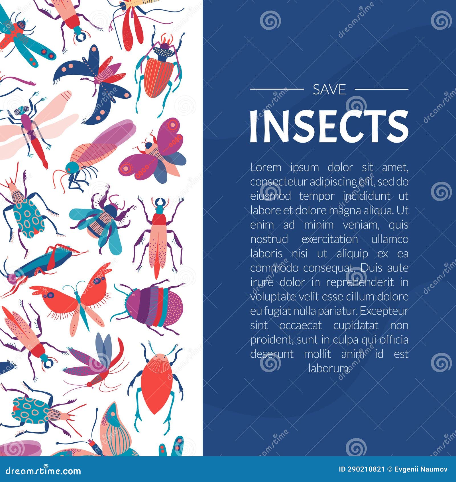Butterfly, Bug and Beetle Banner Design Vector Template Stock ...