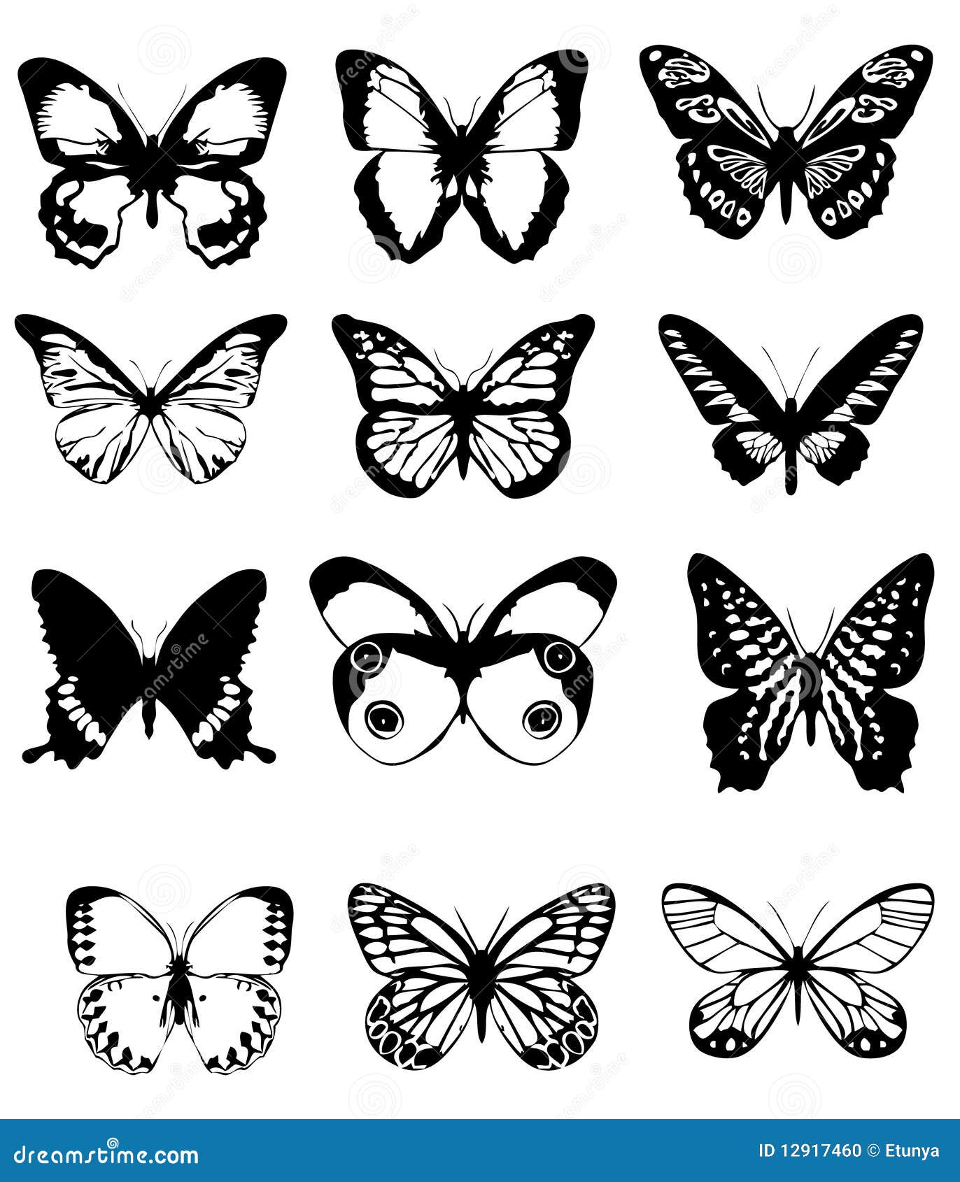Butterfly Collage Vector Illustration | CartoonDealer.com #12917460