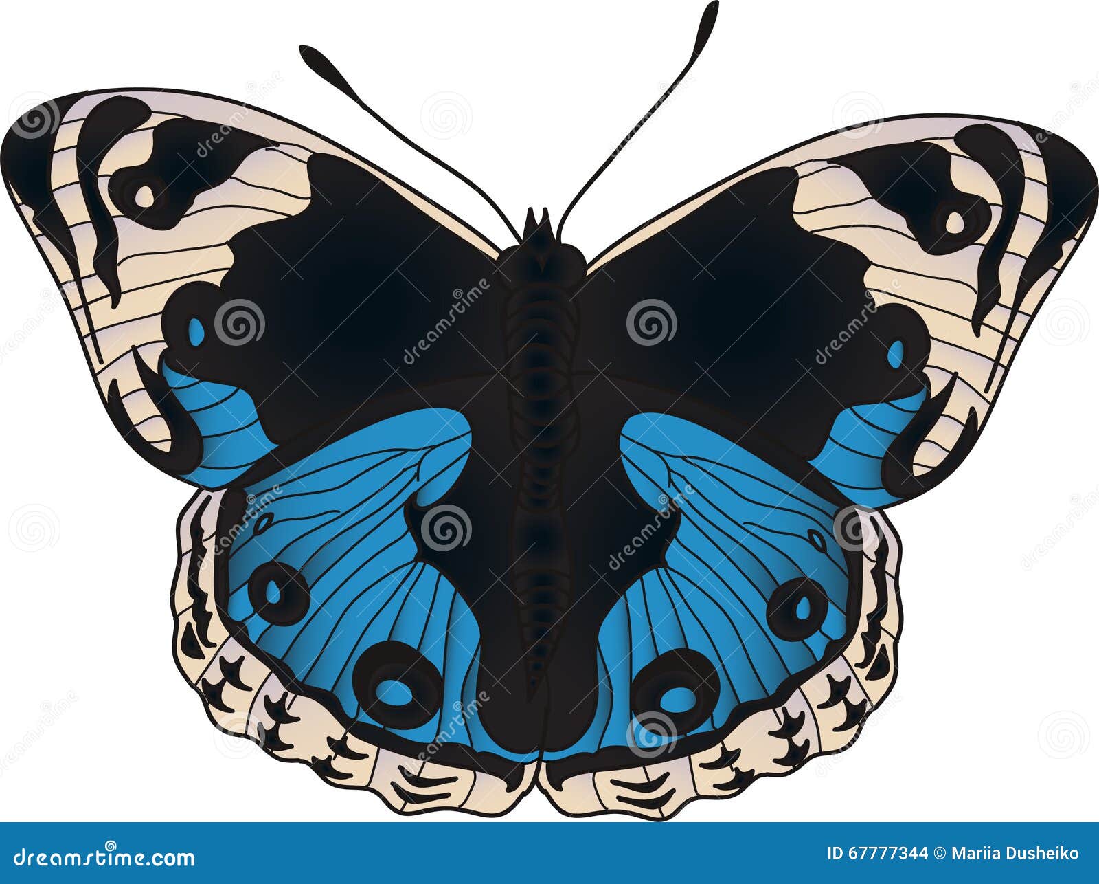 Butterfly color pattern stock vector. Illustration of ornamental - 67777344