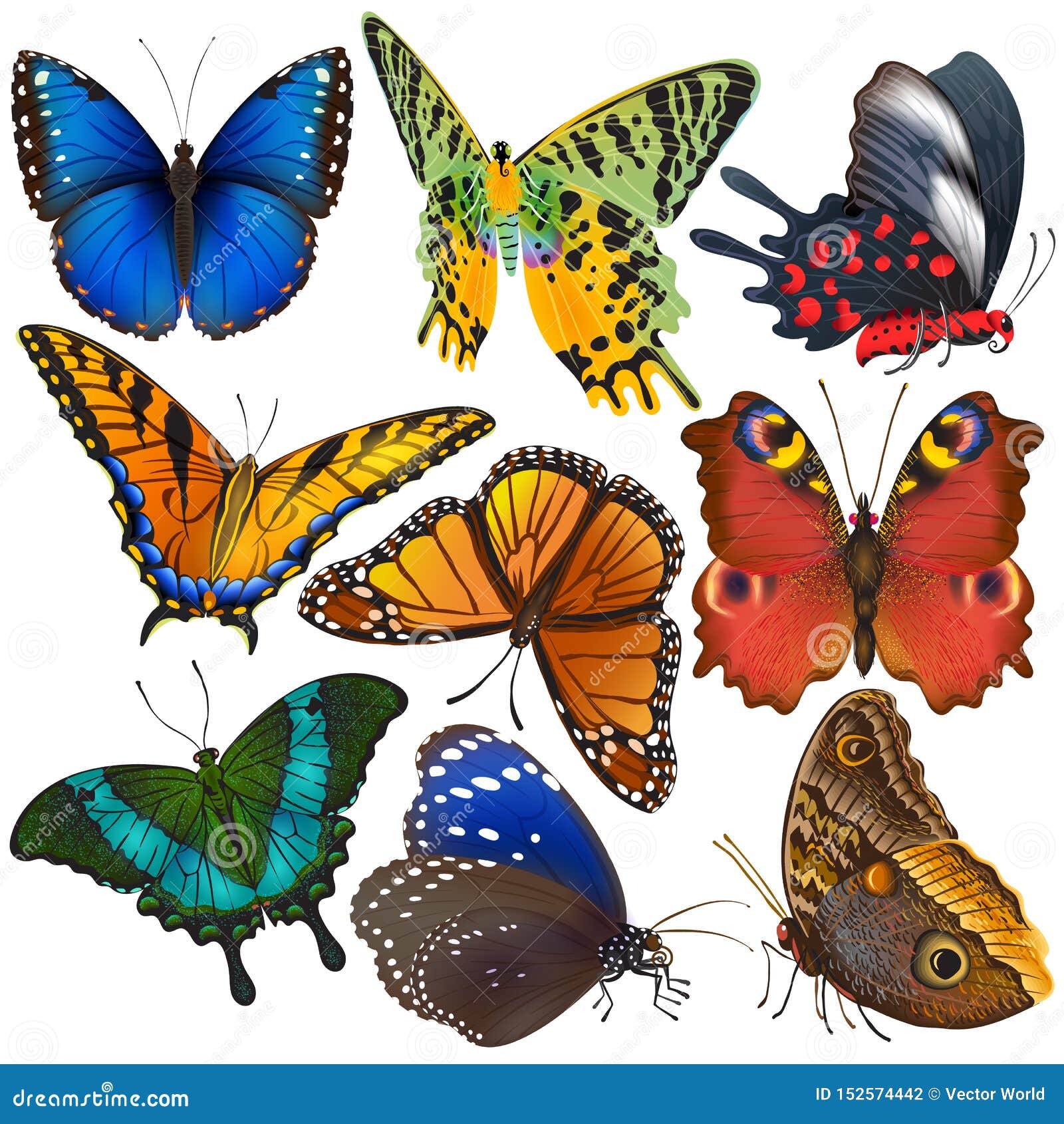 Butterfly Colorful Insect Flying for Decoration and Beautiful ... Butterfly Colorful Insect Flying for Decoration and Beautiful ...