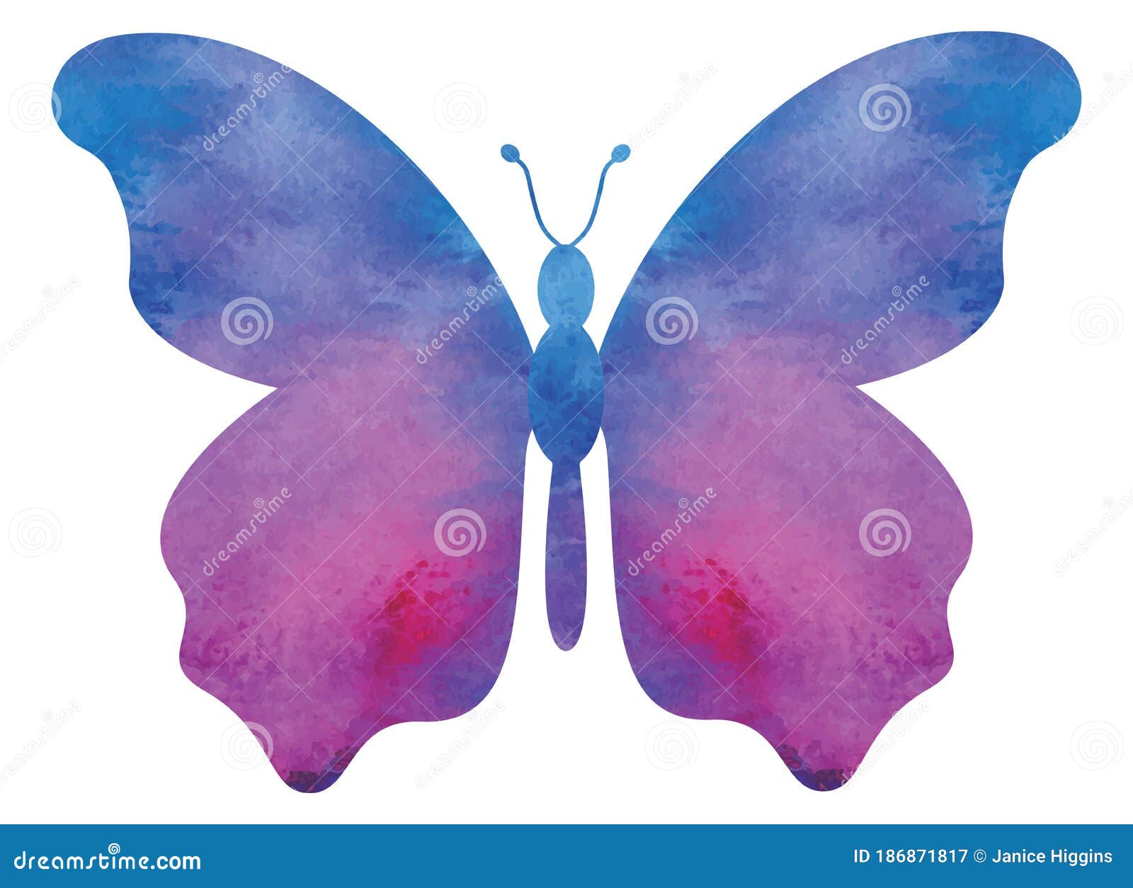 Pink, Purple and Blue Blended Water Colored Butterfly with Wings Spread ...