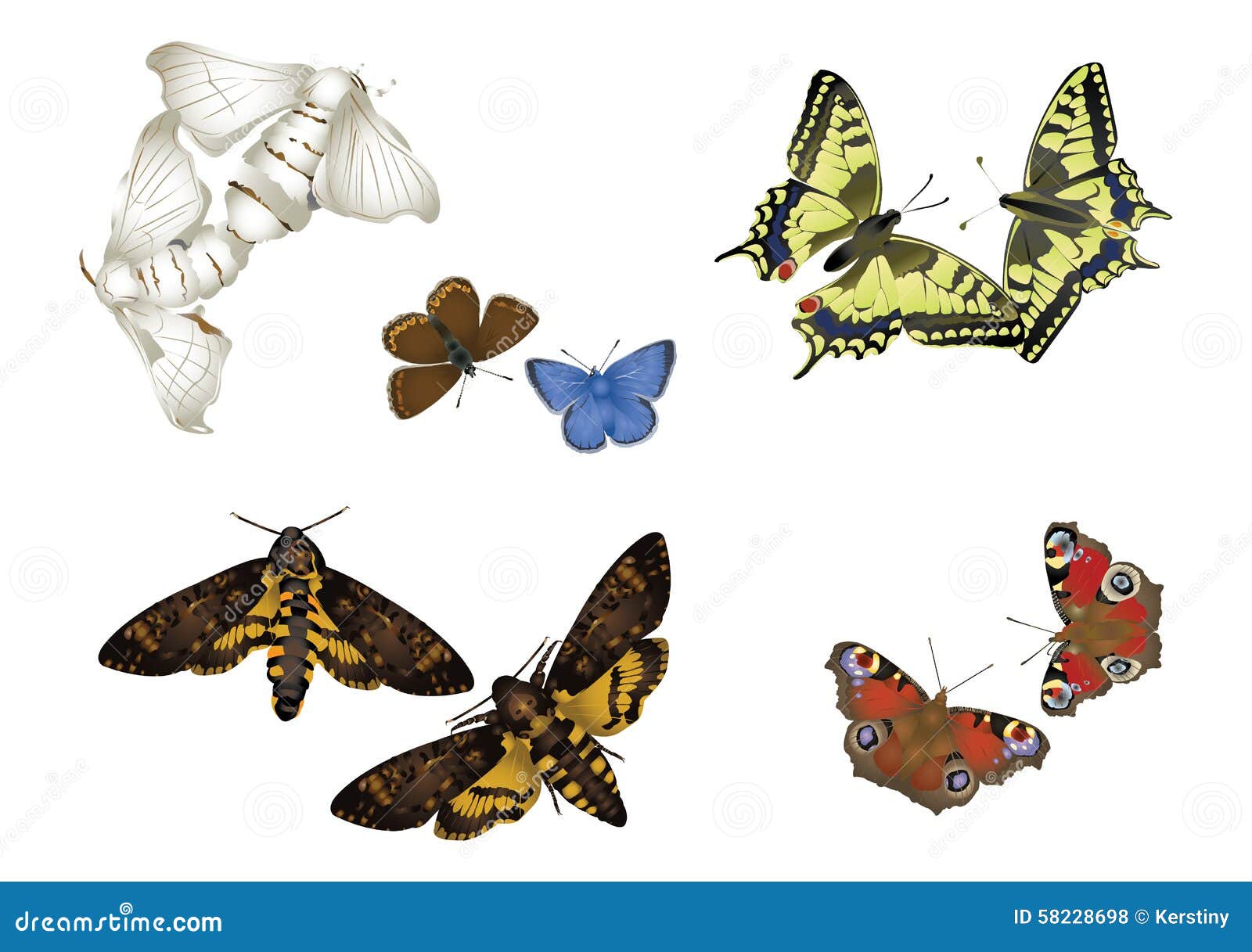 Butterfly couples stock illustration. Illustration of swallowtail ...