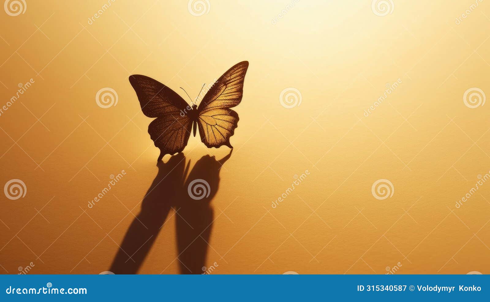 Butterfly Creating a Shadow on a Wall Stock Image - Image of ephemeral ...