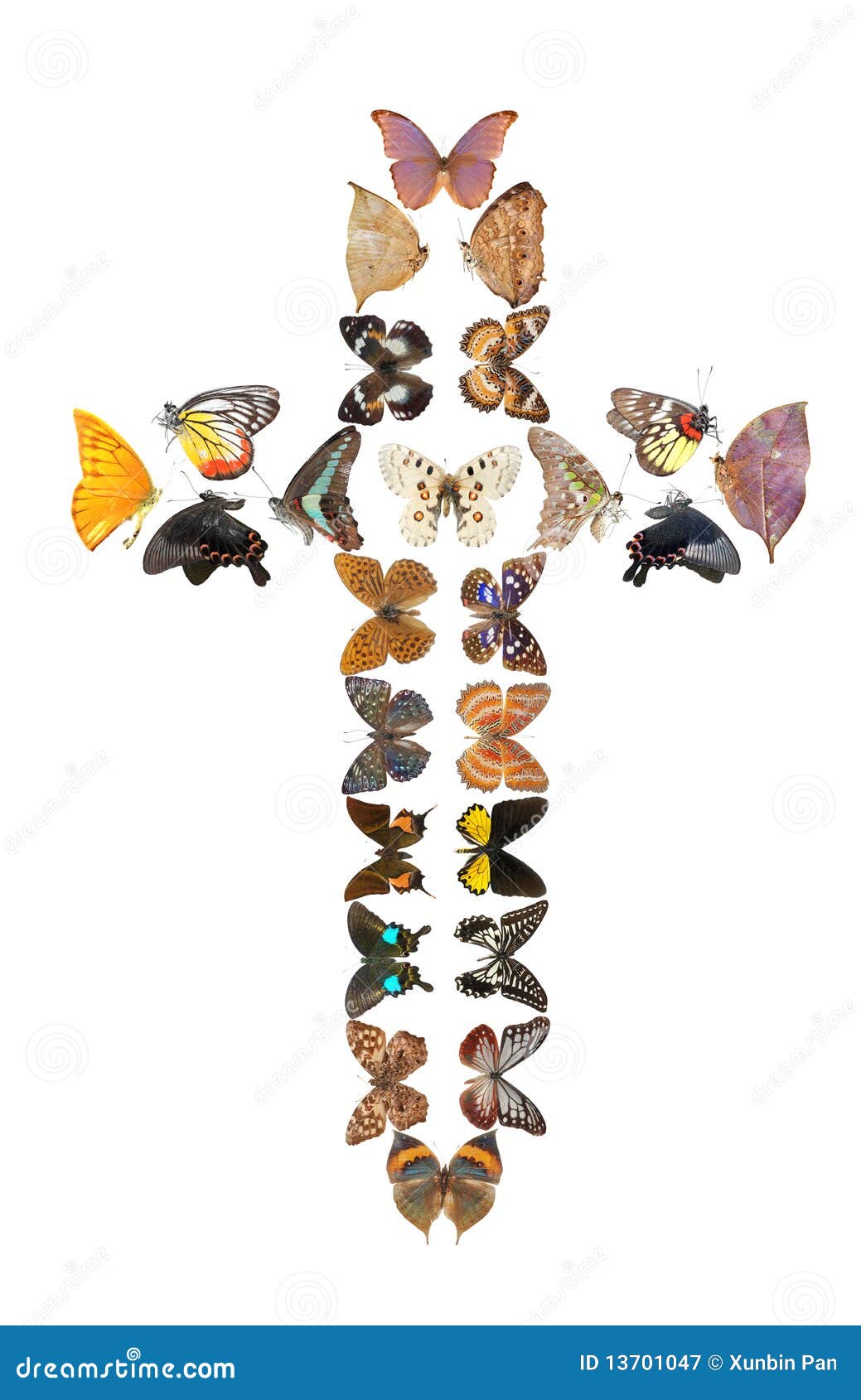 Butterfly cross stock image. Image of catholic, crucifixion - 13701047