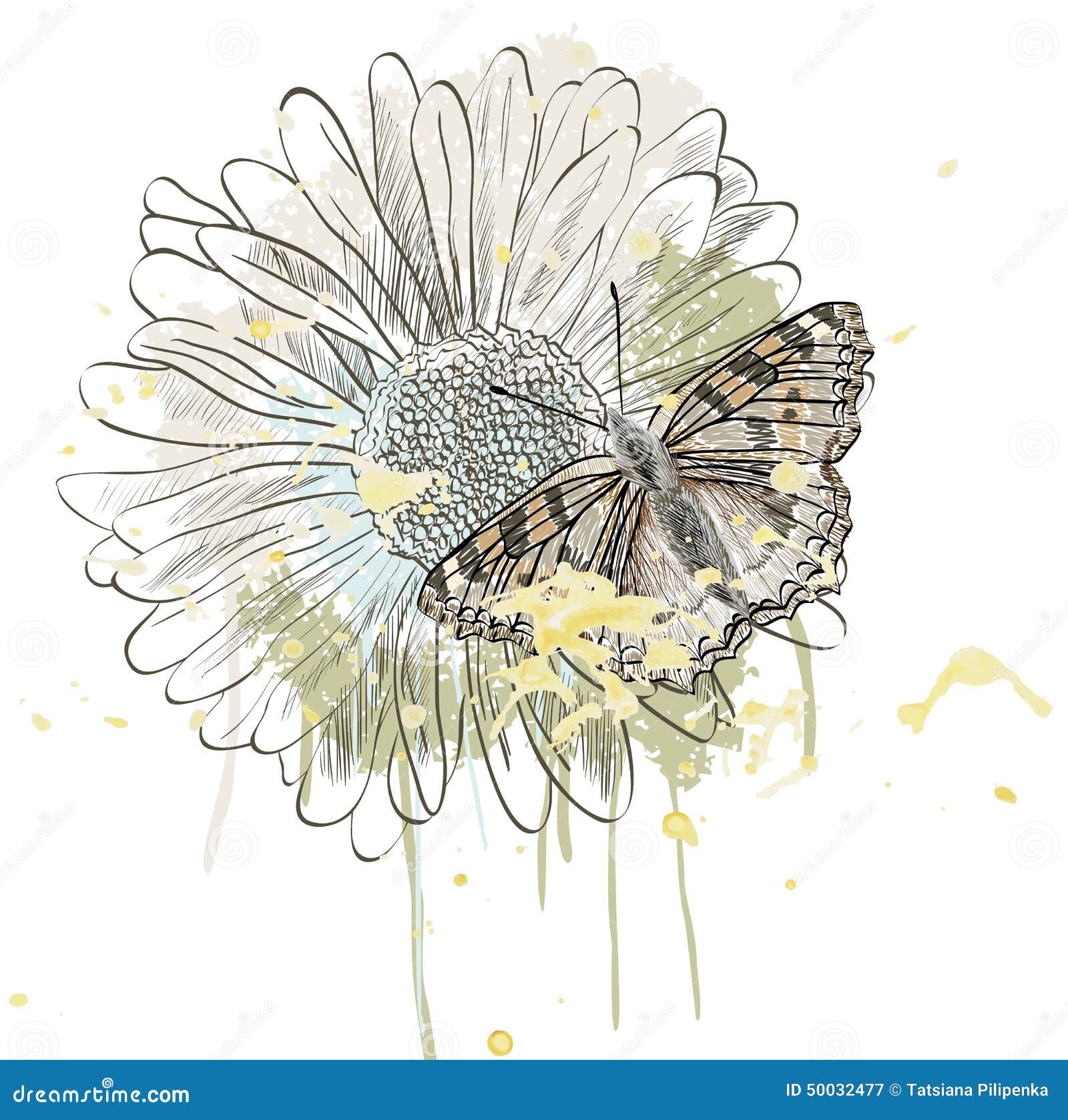 Butterfly and daisy stock vector. Illustration of messy - 50032477