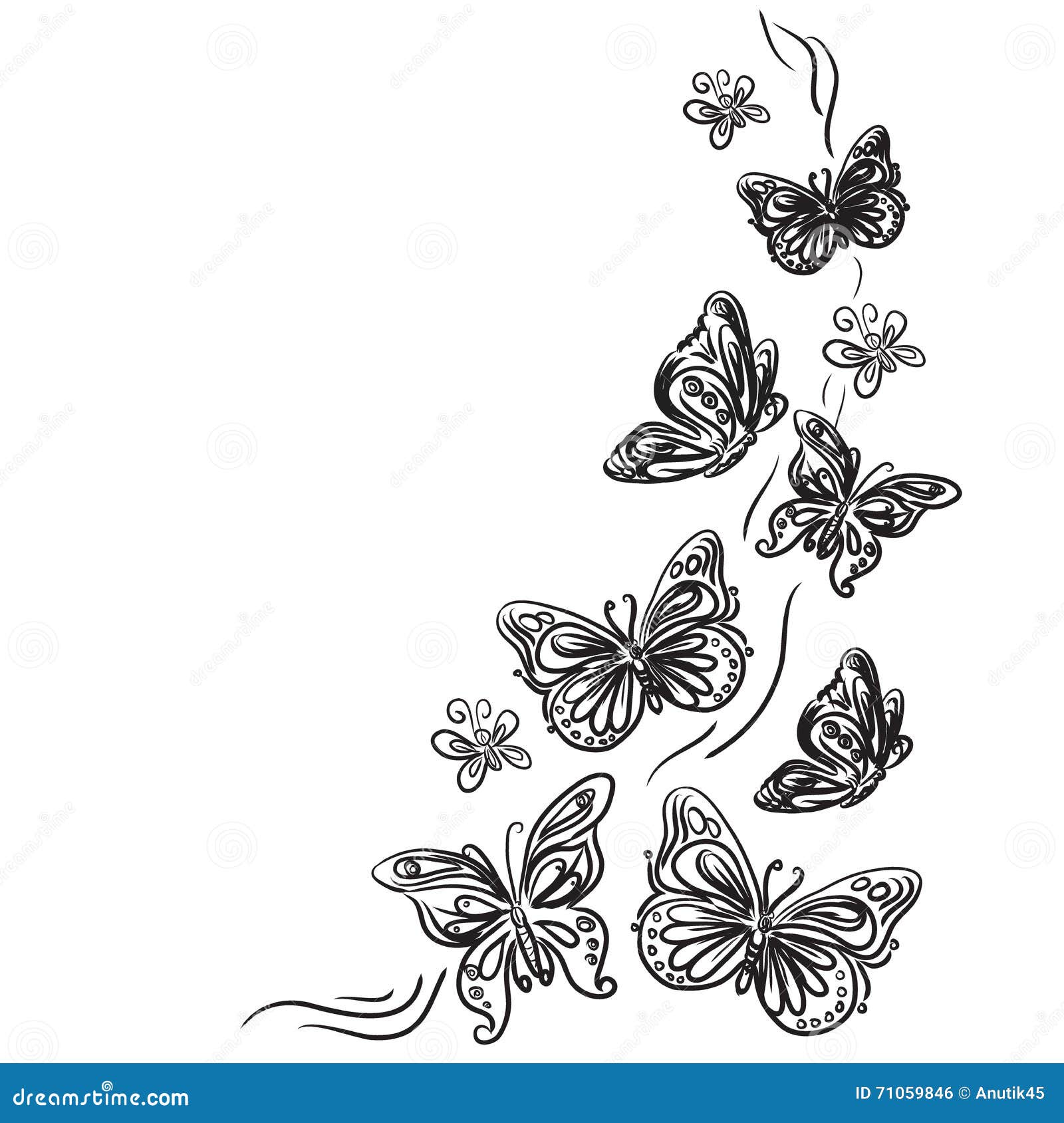Butterfly Designs Drawings