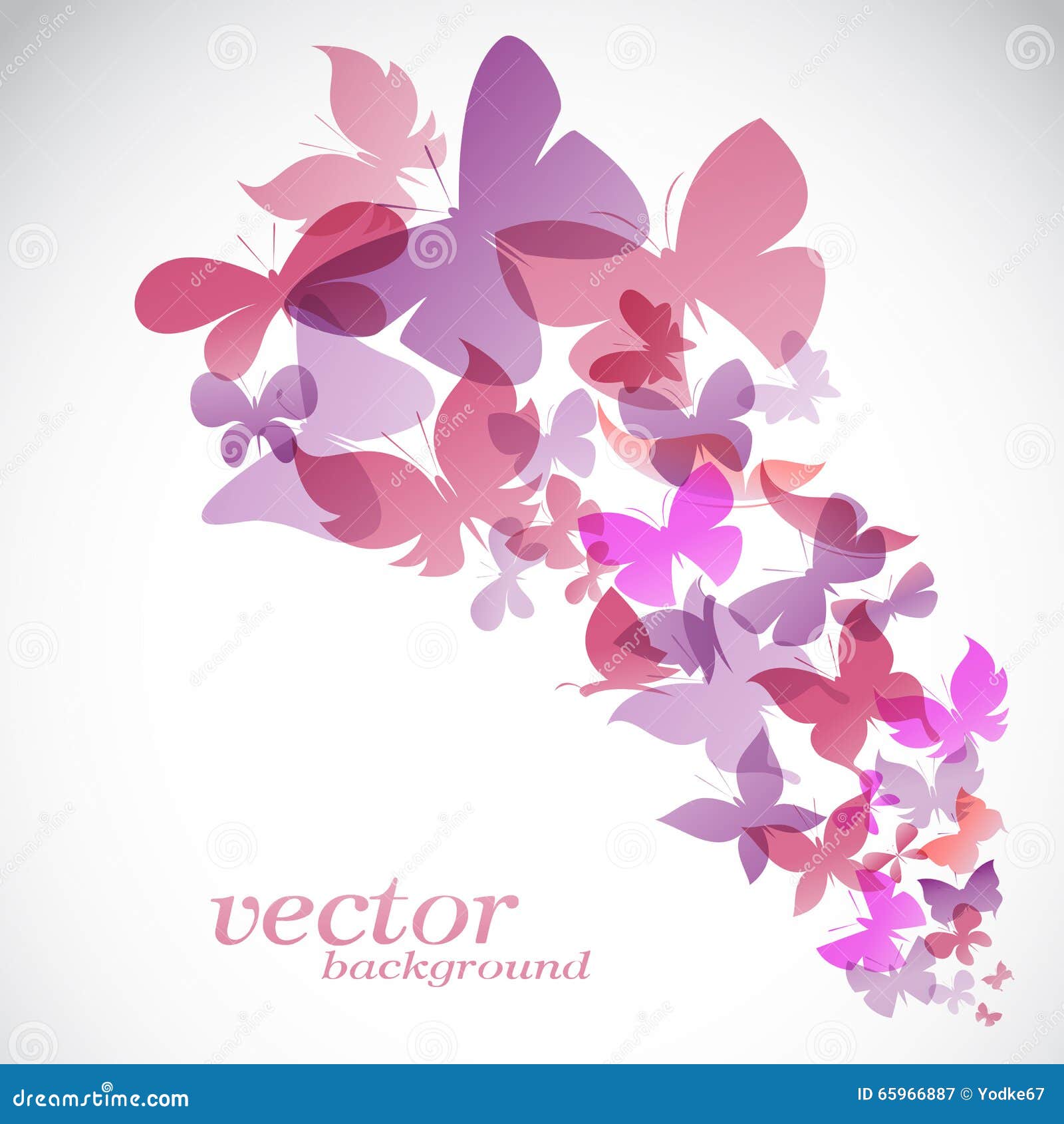 Butterfly Design on White Background Stock Vector - Illustration of ...
