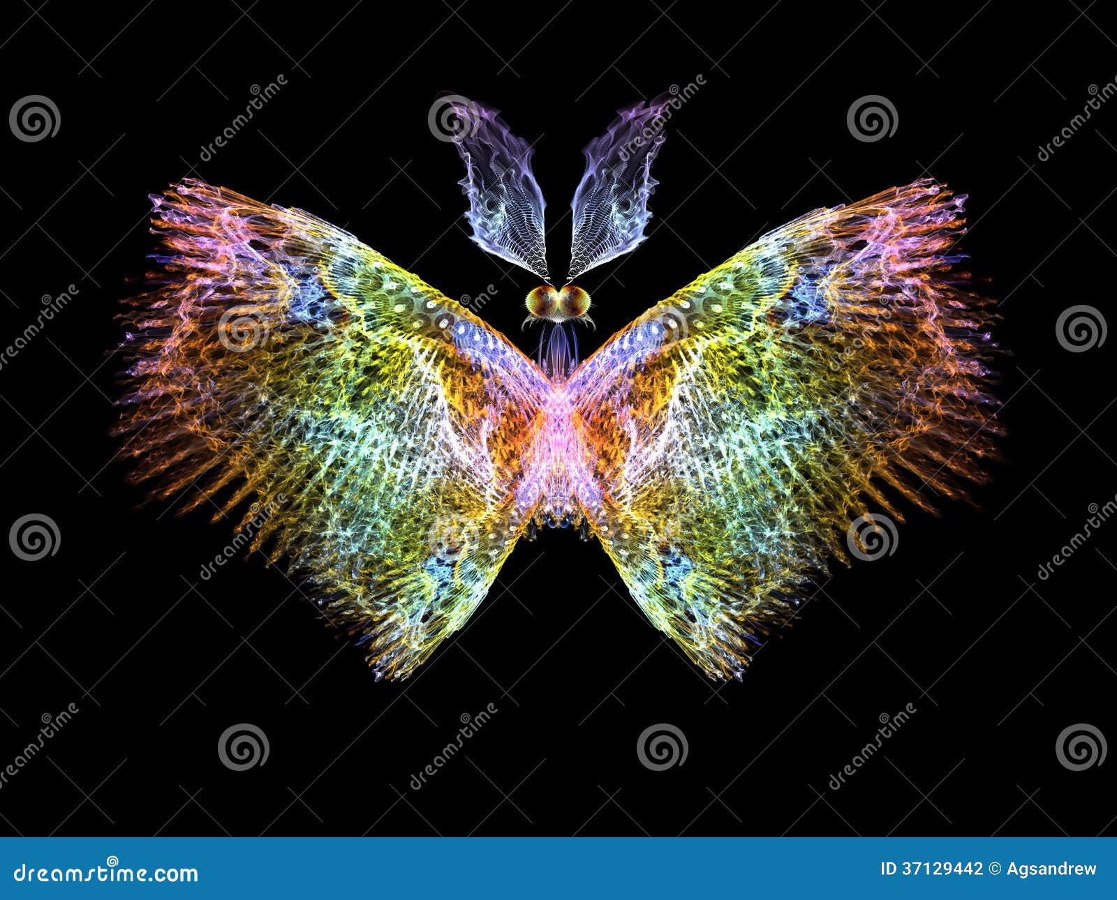 Butterfly Elements stock illustration. Illustration of macro - 37129442