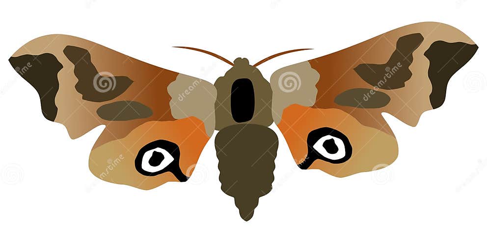 Butterfly eyed hawk moth stock vector. Illustration of plant - 13591347