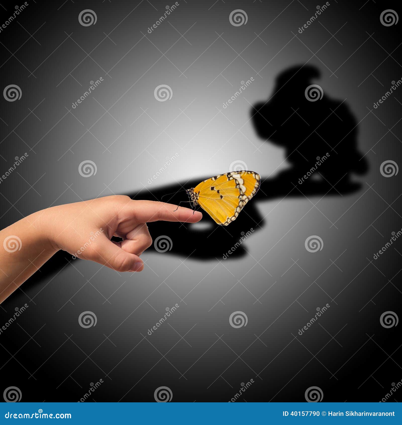 Butterfly on finger stock photo. Image of emotion, feather - 40157790