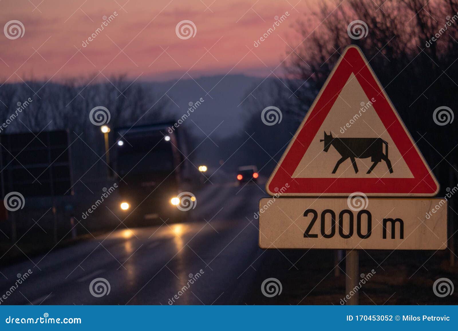 Black Cow With Horns Behind A Gate Stock Photo | CartoonDealer.com ...