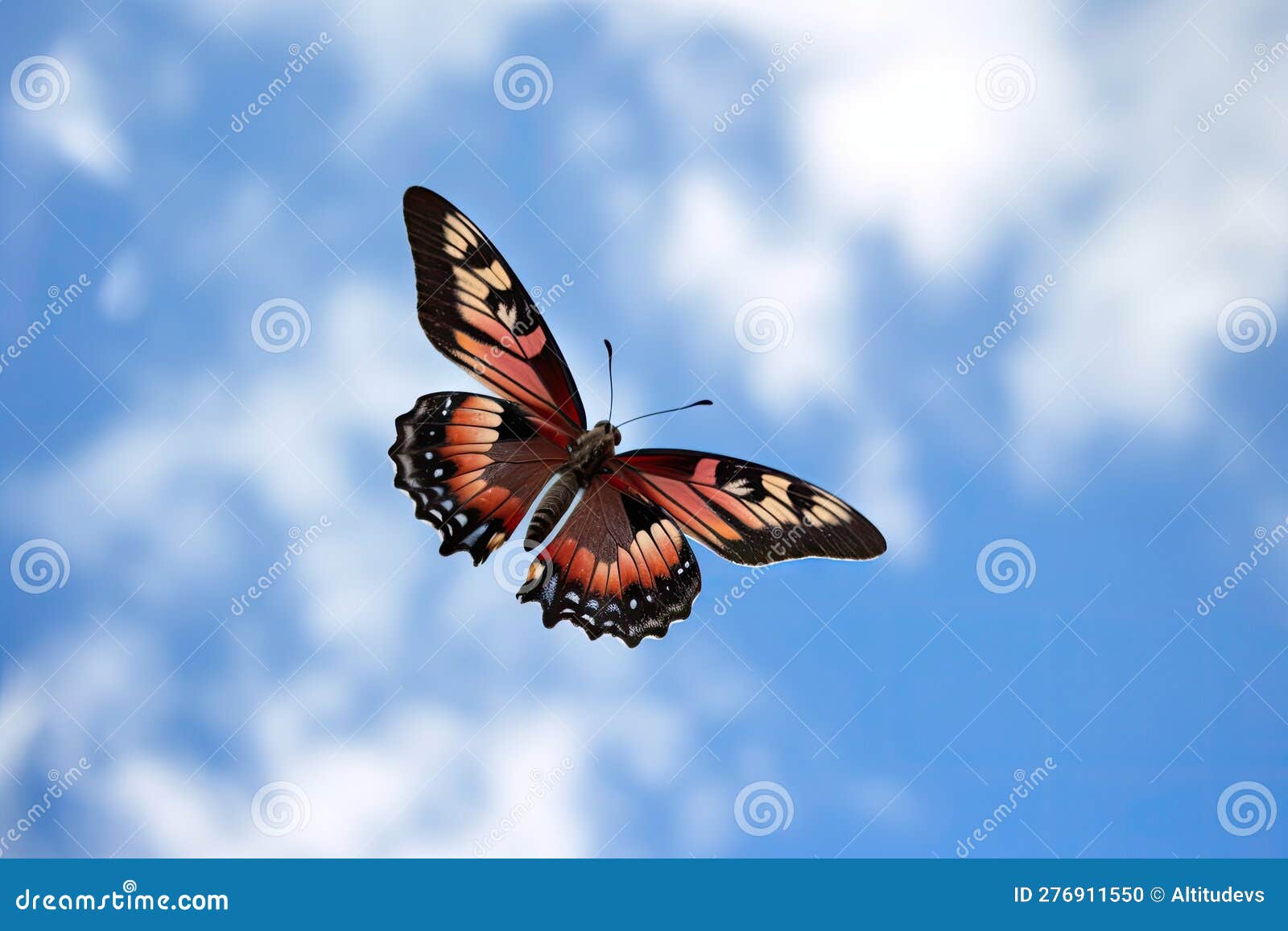 Butterfly, Fluttering Its Wings in Flight, Against Blue Sky Stock Photo ...