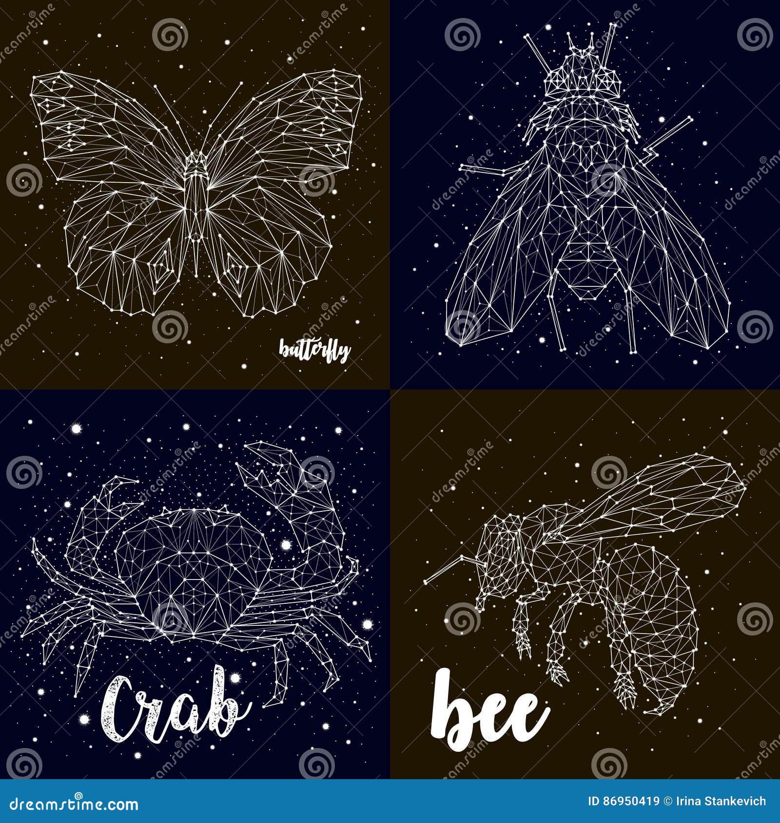 Butterfly, Fly, Octopus, Bee, a Set of Constellation Stock Illustration ...