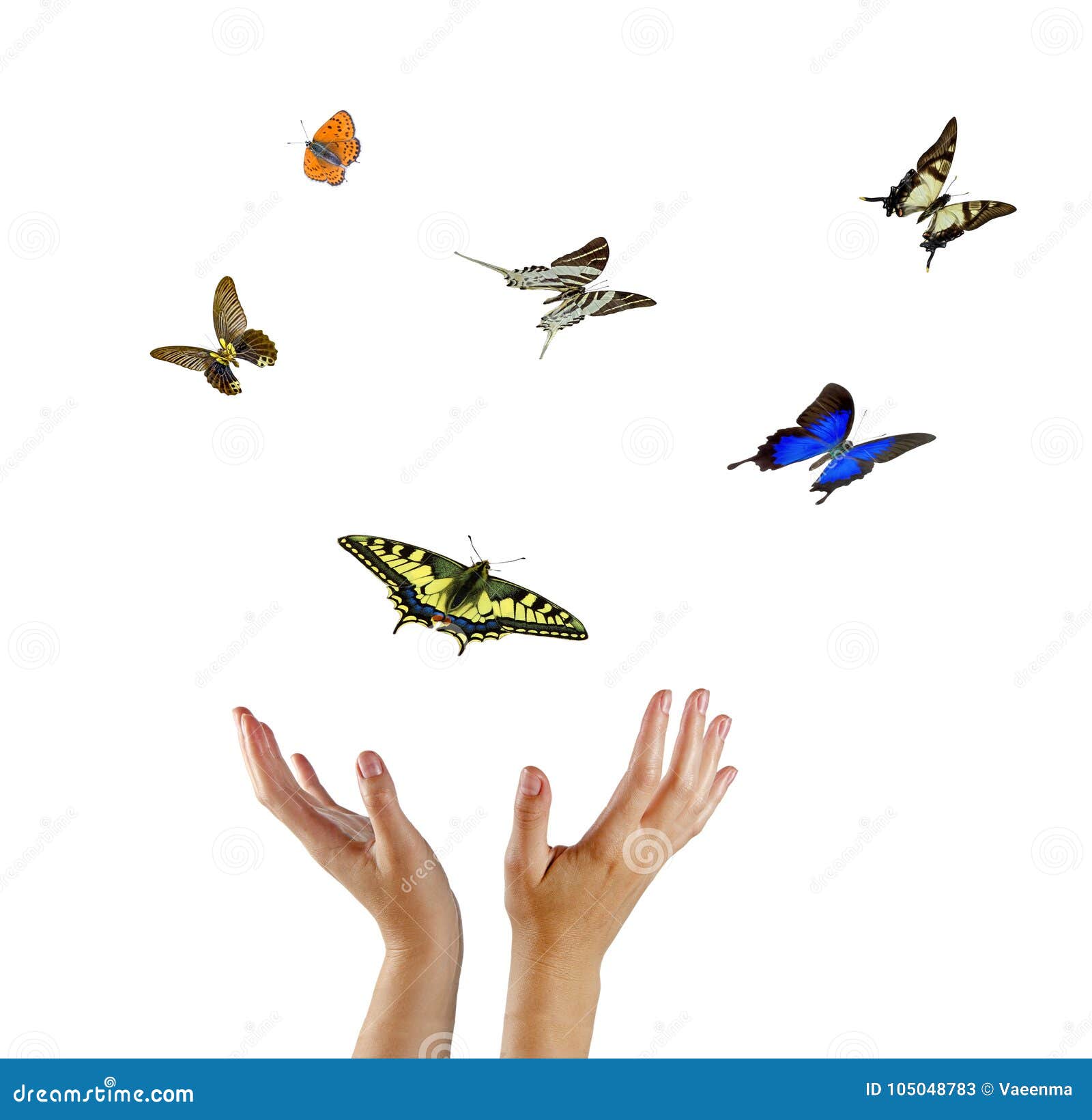 Butterflies Flying Out Of Hands