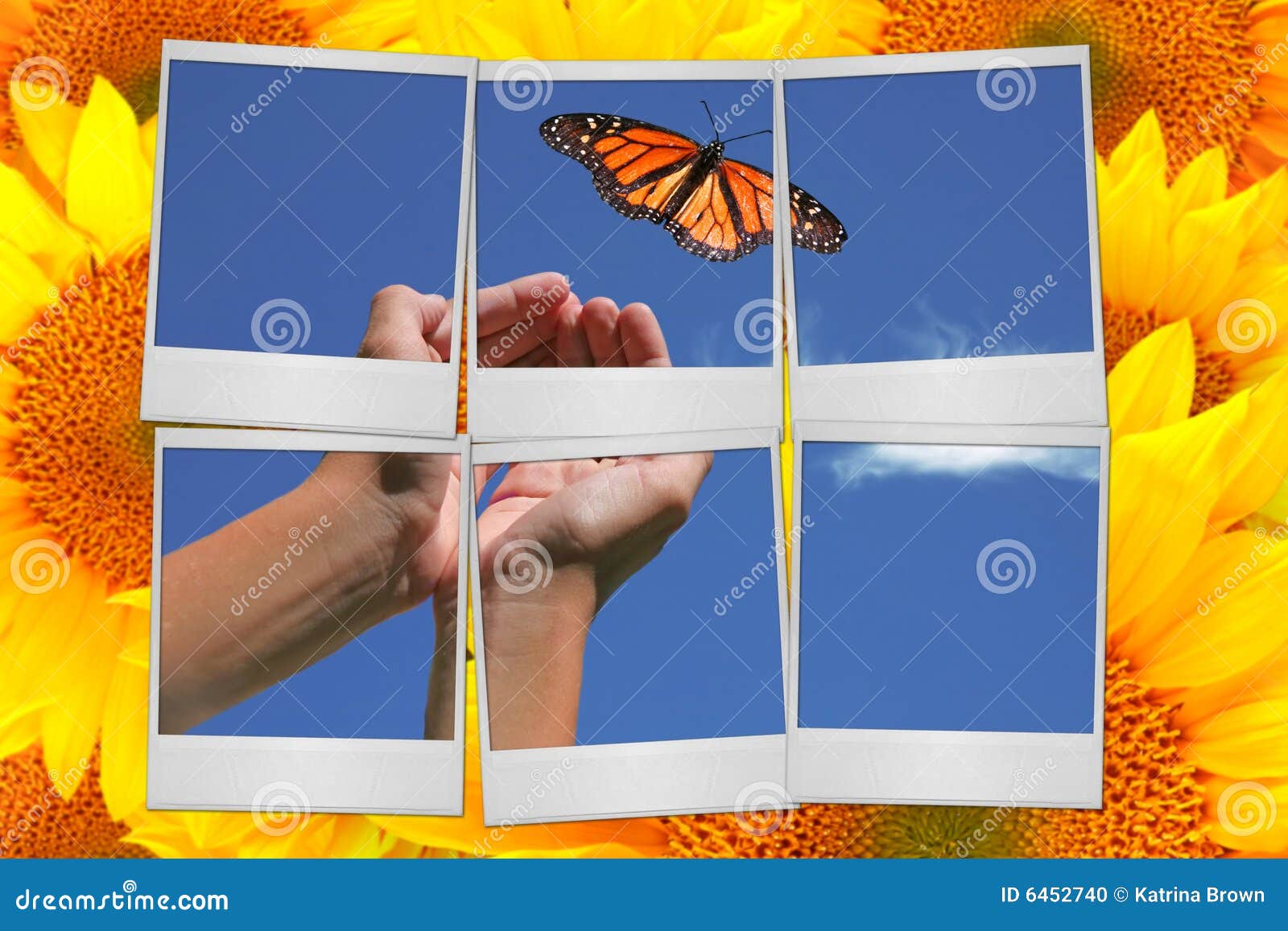Butterfly Flying Off into the Sky Stock Photo - Image of arms, delicate ...