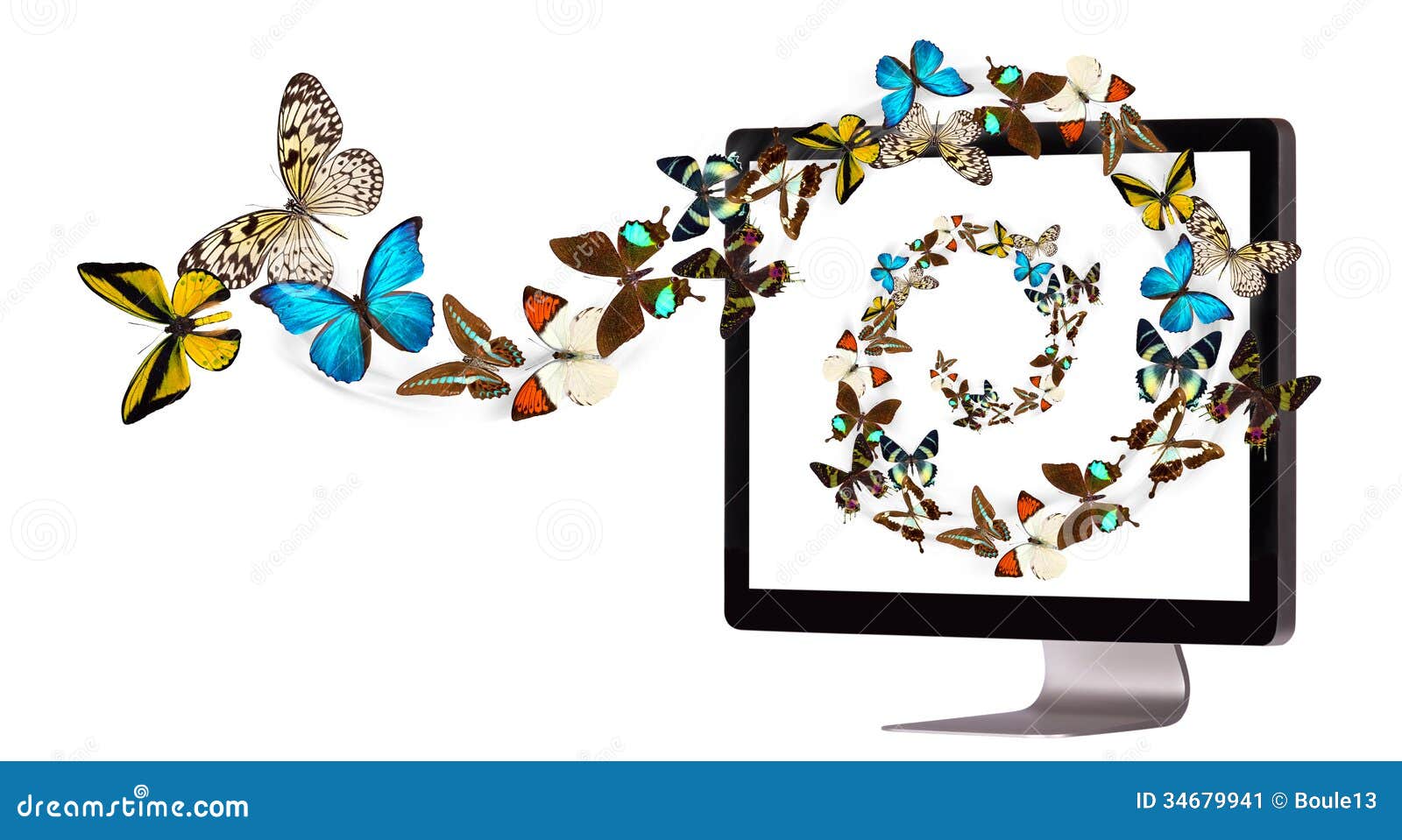 Computer Software Logos Butterfly