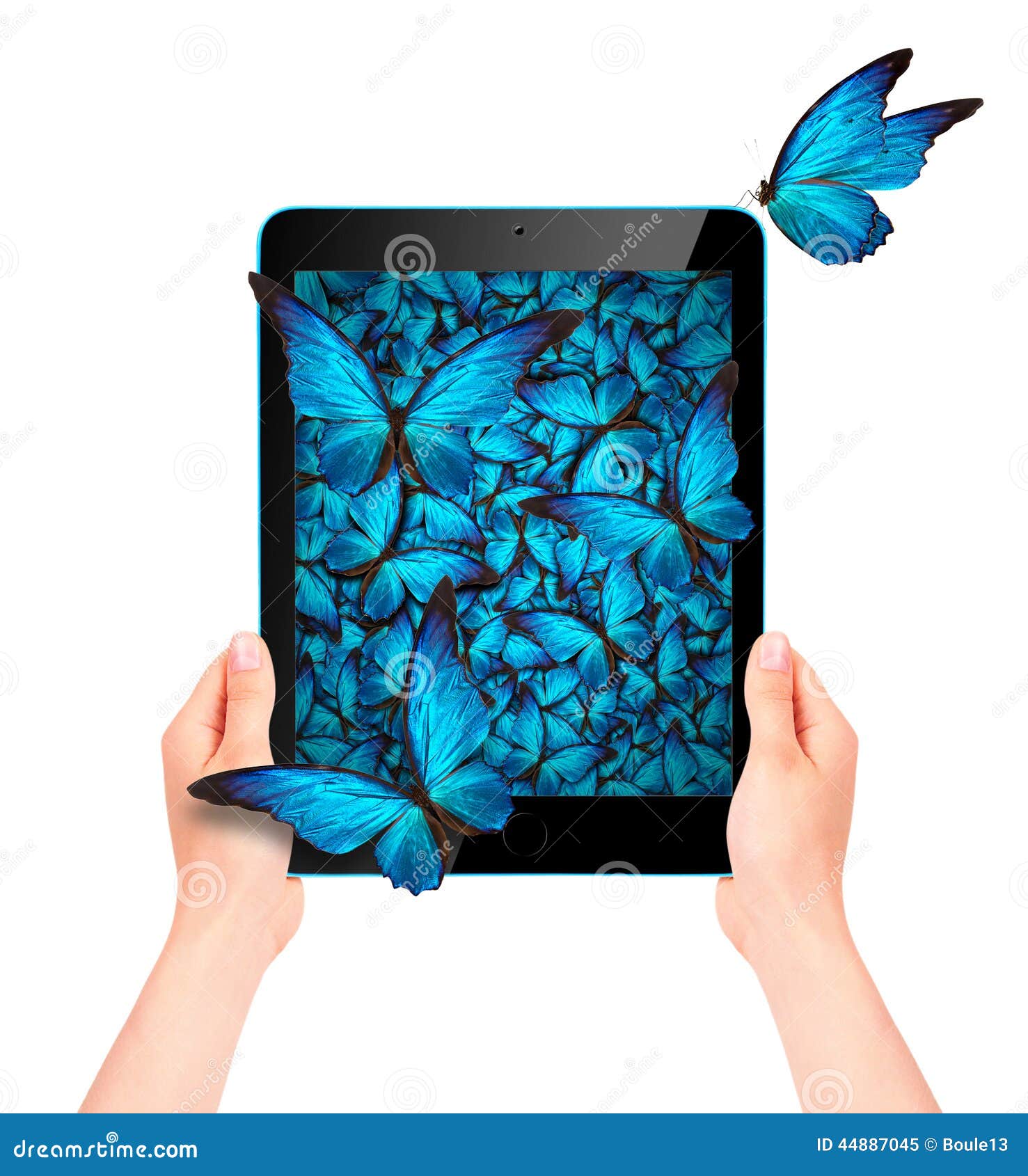 Butterfly Flying Out from Tablet Computer Stock Image - Image of ...