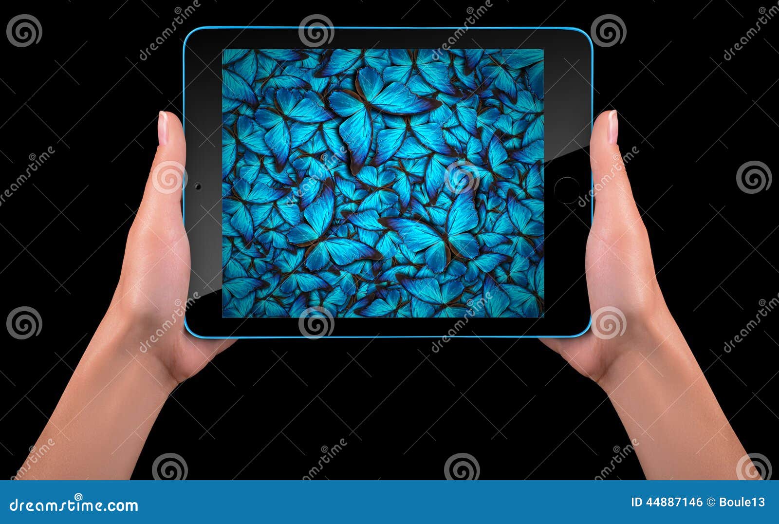 Butterfly Flying Out from Tablet Computer Stock Photo - Image of ...