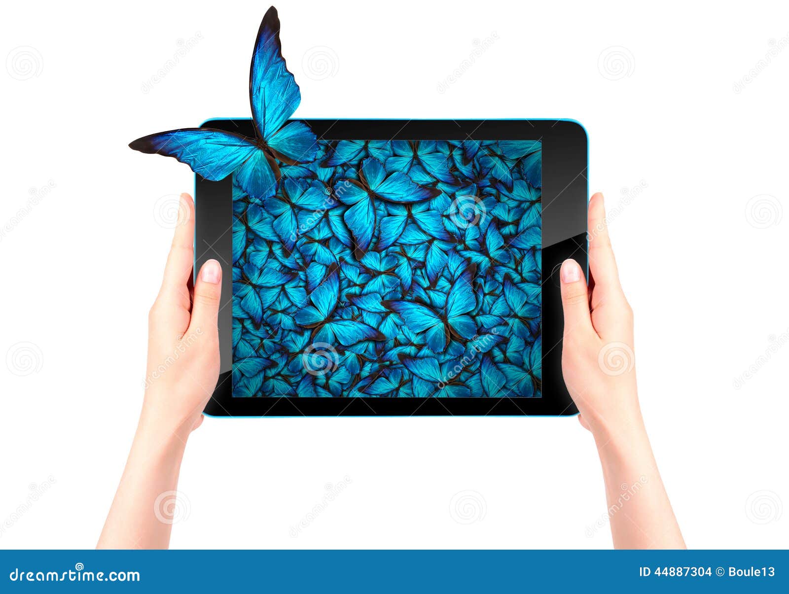 Butterfly Flying Out from Tablet Computer Stock Photo - Image of ...