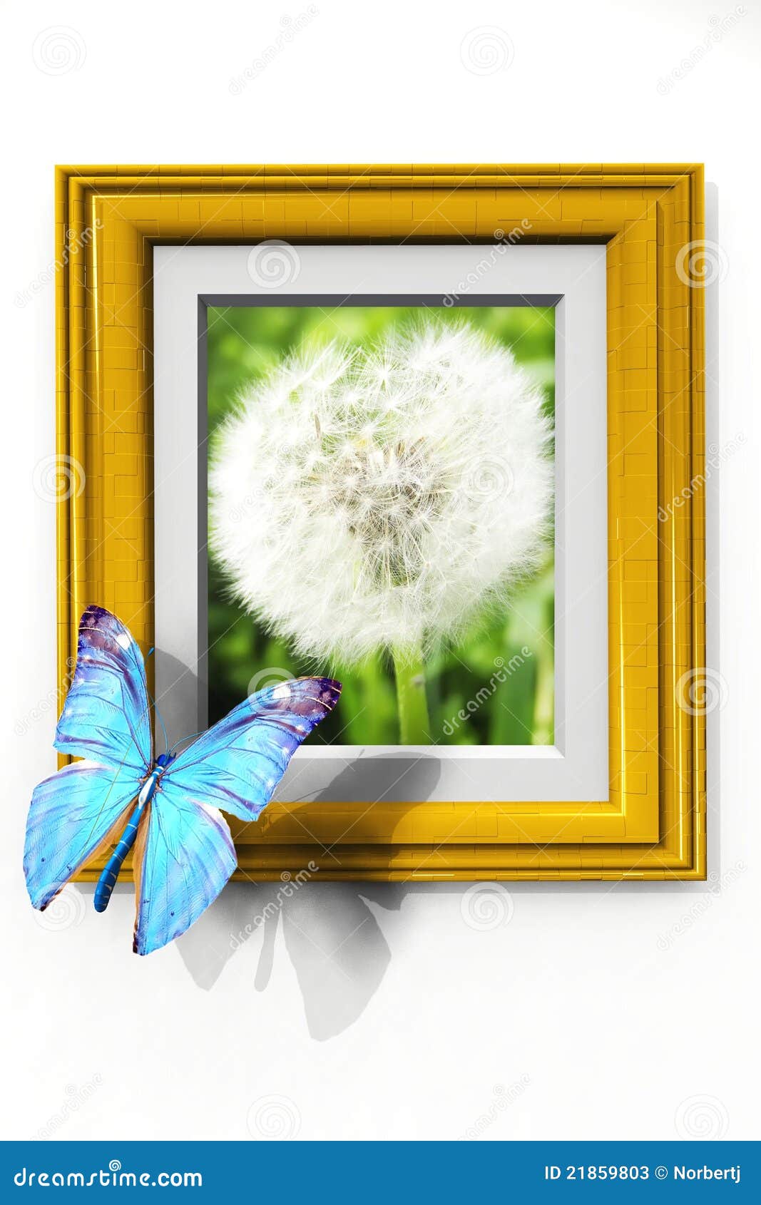 Butterfly And Frame Stock Photo | CartoonDealer.com #21859803
