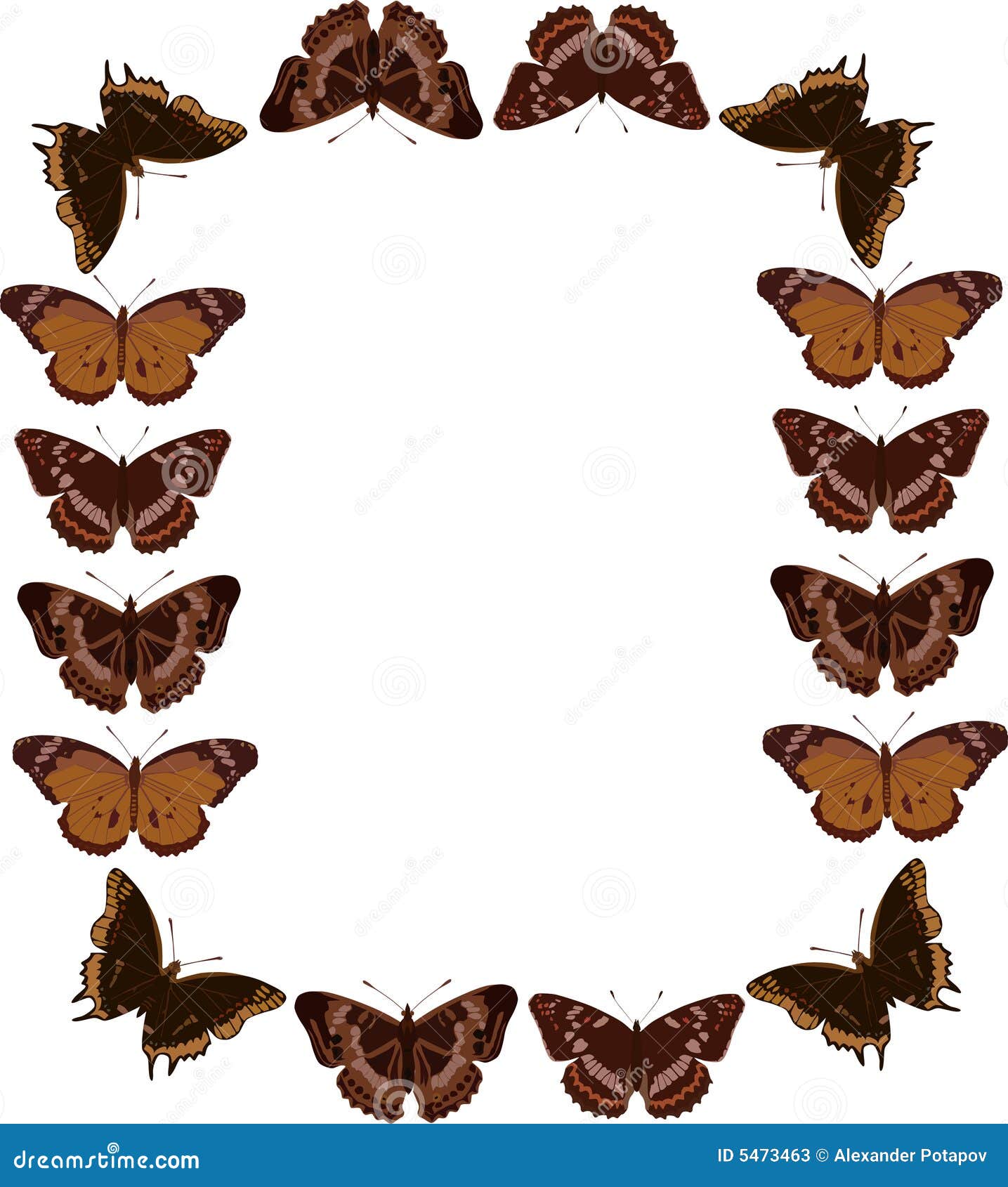 Butterfly Frame Stock Photography | CartoonDealer.com #8057828