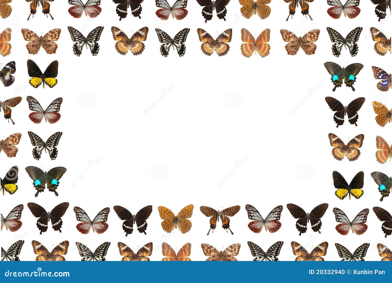 Butterfly Frame Stock Photography | CartoonDealer.com #8057828