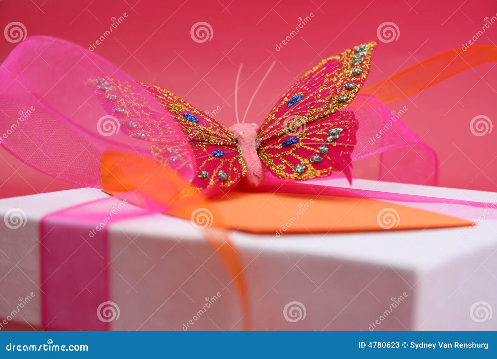 Butterfly Gift stock image. Image of present, beautiful - 4780623
