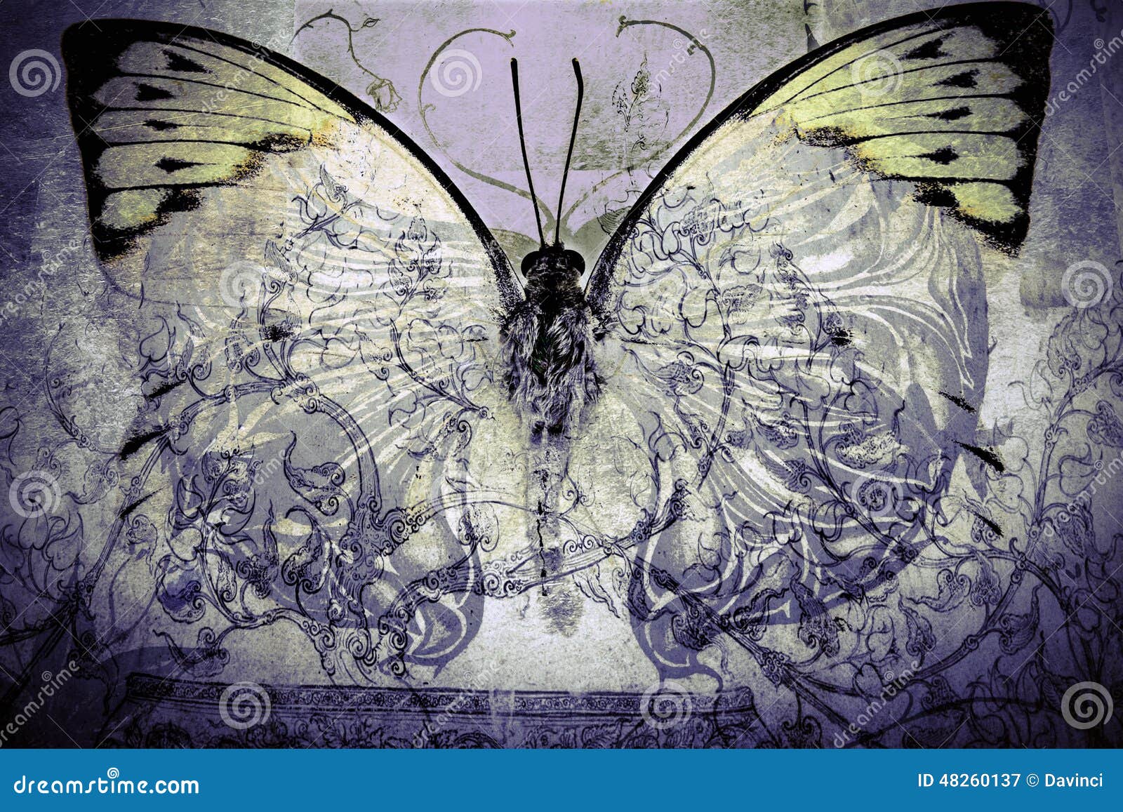 Butterfly stock image. Image of autumn, elegance, creativity - 48260137