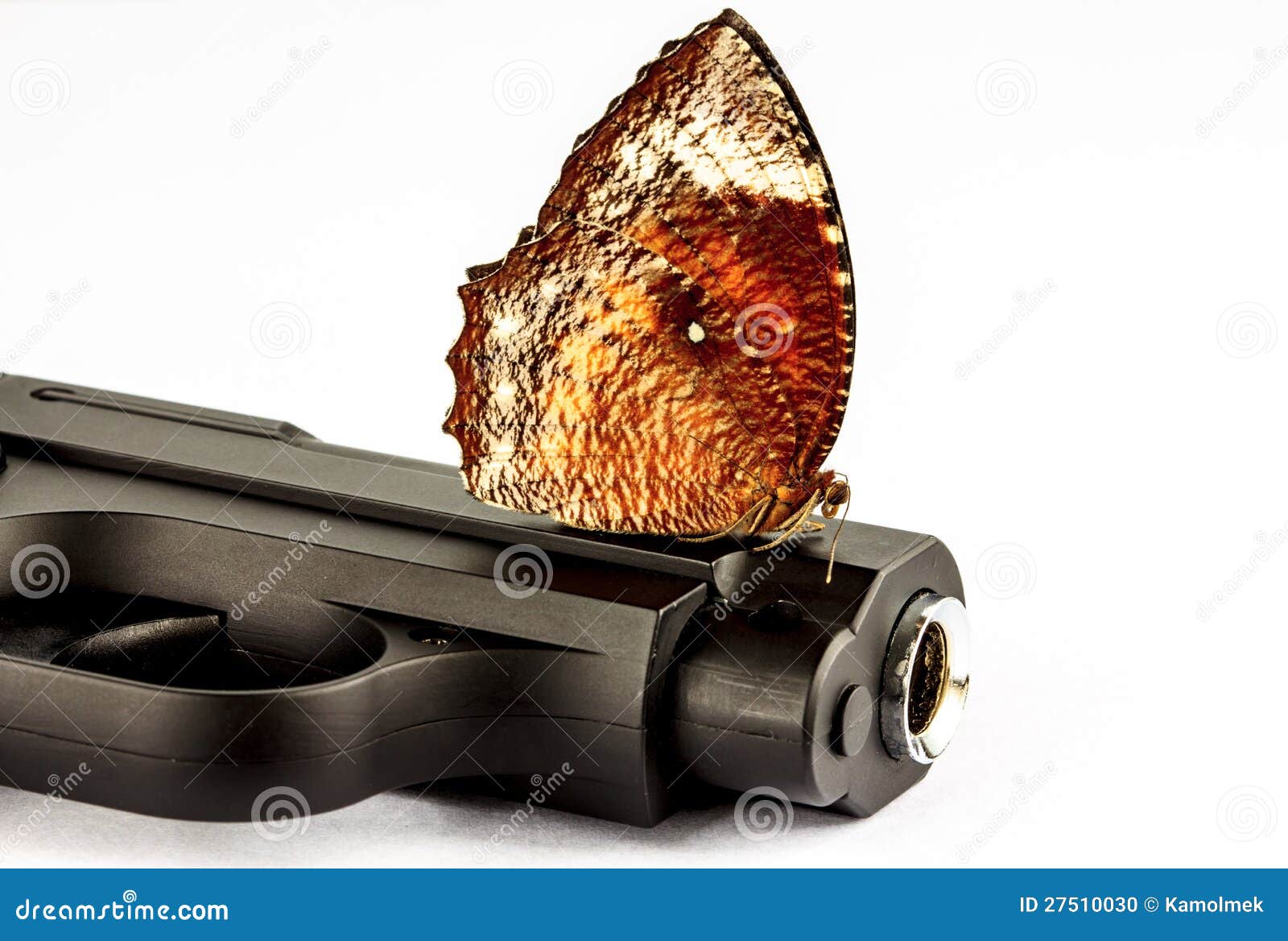Butterfly and Gun stock photo. Image of isolated, monarch - 27510030