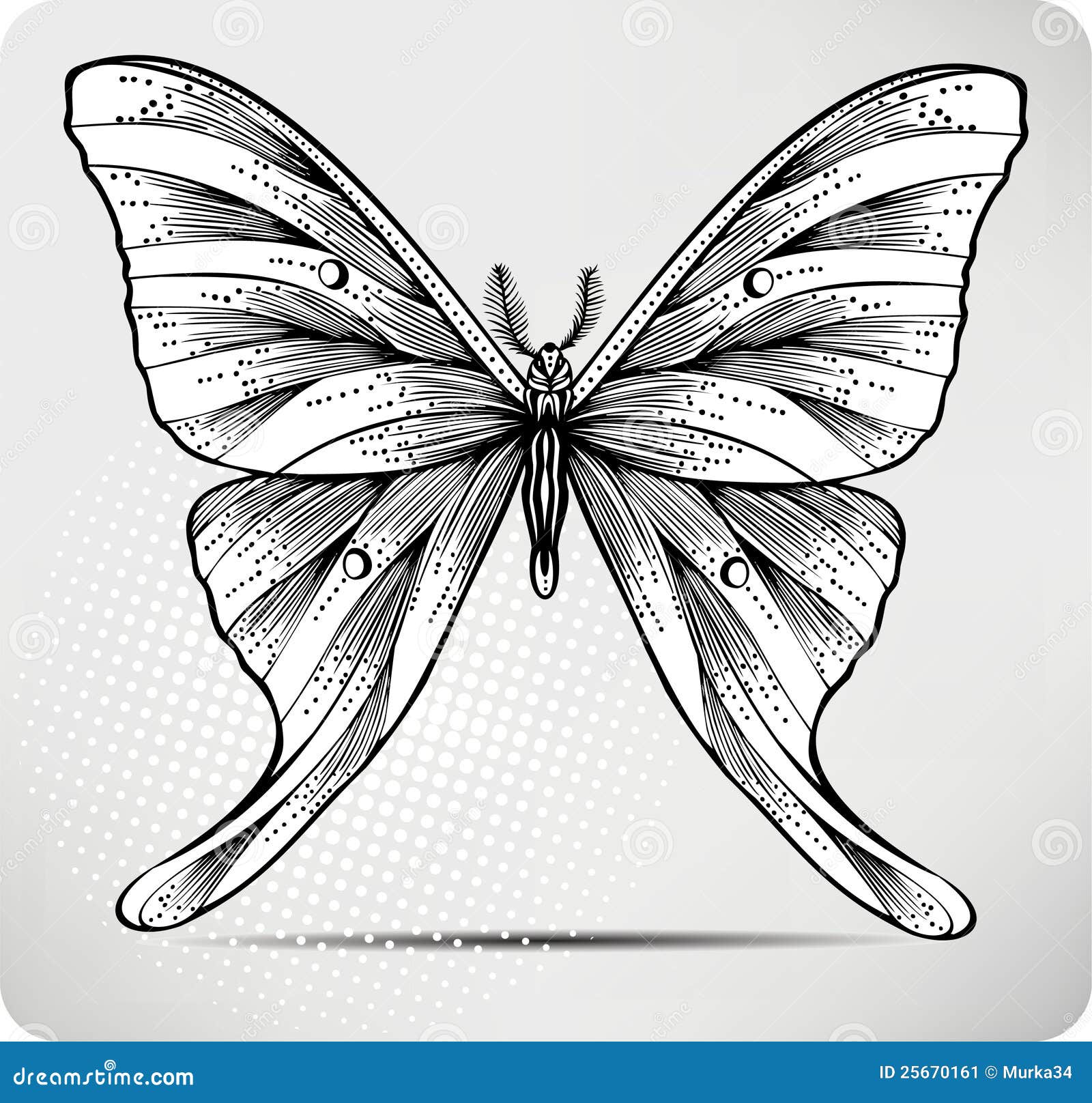 Butterfly, Hand Drawing. Vector Illustration. Stock Vector ...