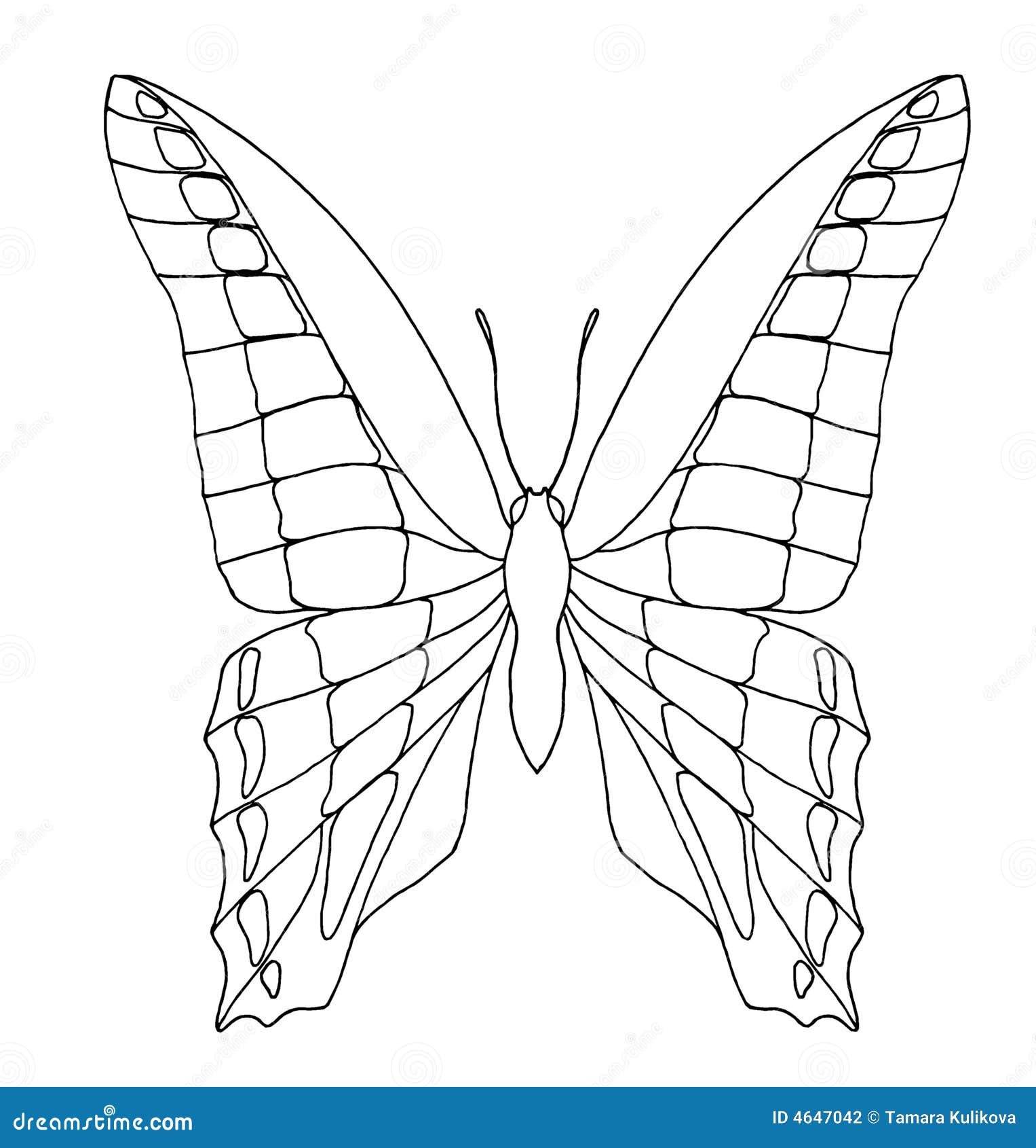 Butterfly hand drawn stock illustration. Illustration of black - 4647042