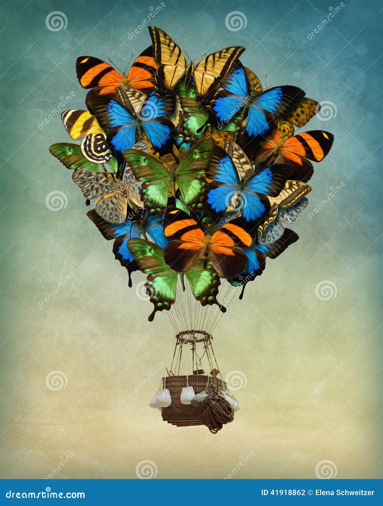 670 Butterfly Float Stock Photos - Free & Royalty-Free Stock Photos ...
