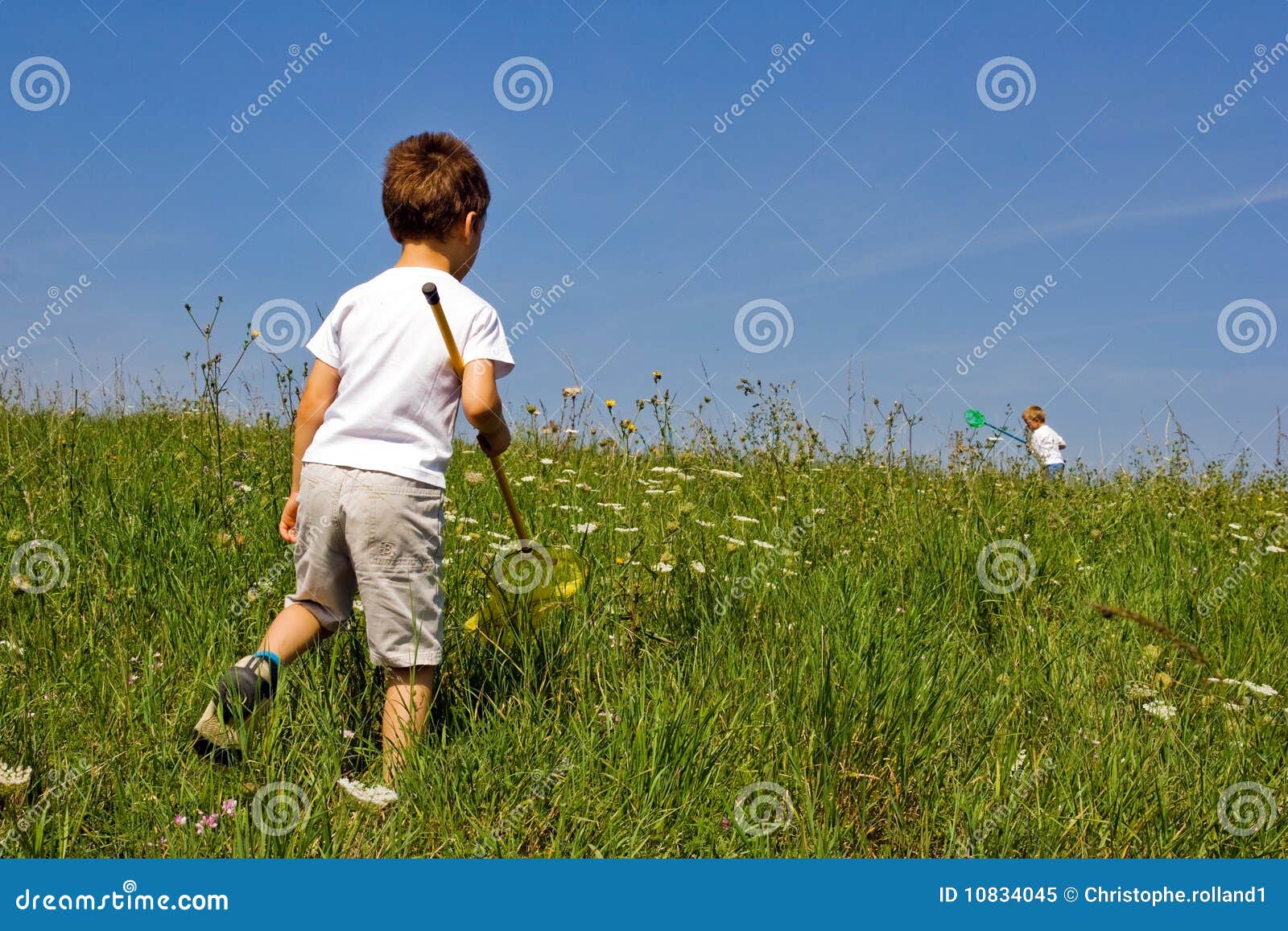 Butterfly hunter stock image. Image of environment, protection - 10834045