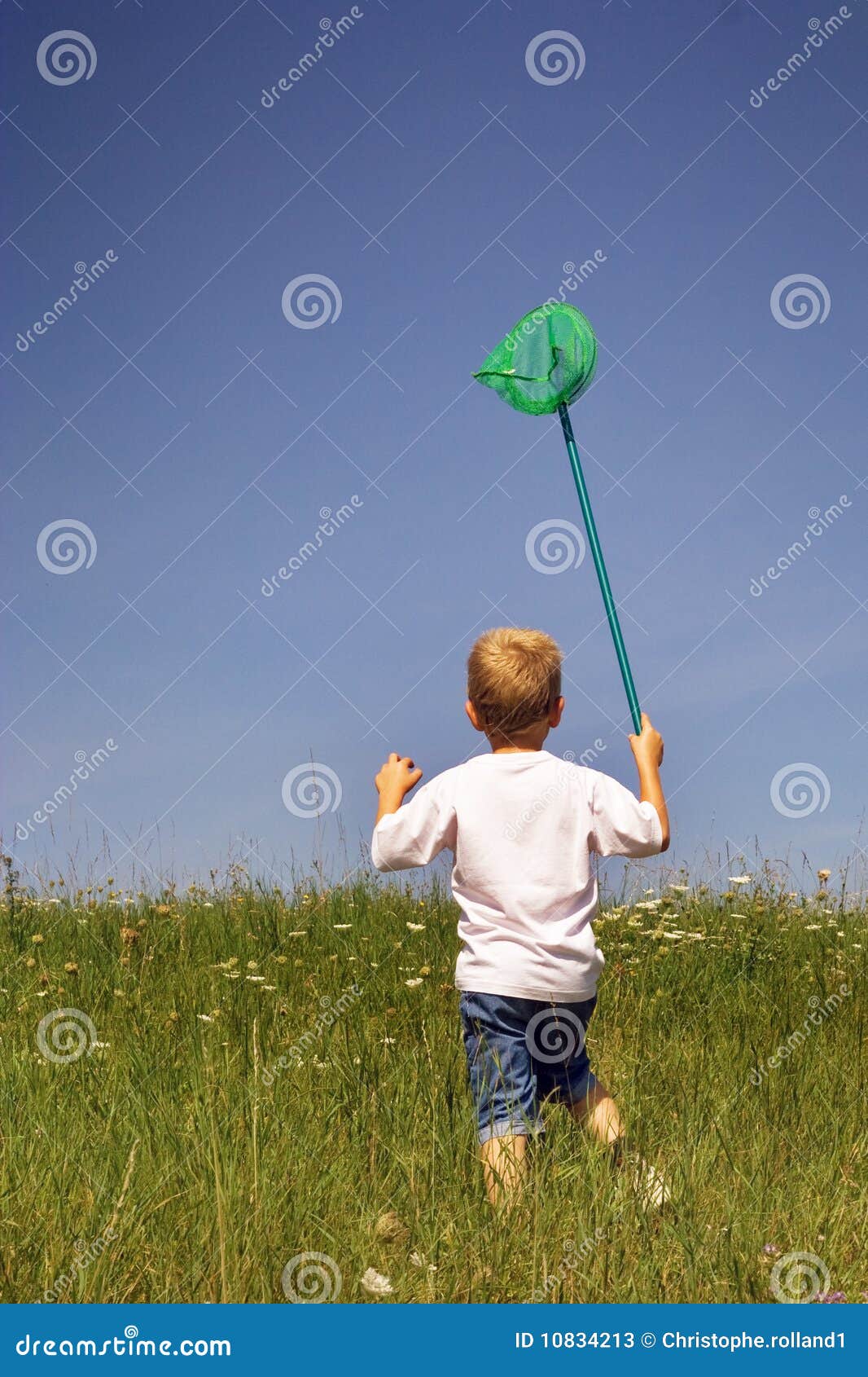 Butterfly hunter stock image. Image of flower, education - 10834213
