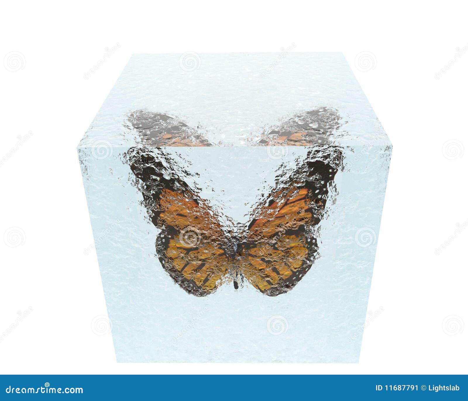 Butterfly in ice cube stock illustration. Illustration of liquid - 11687791