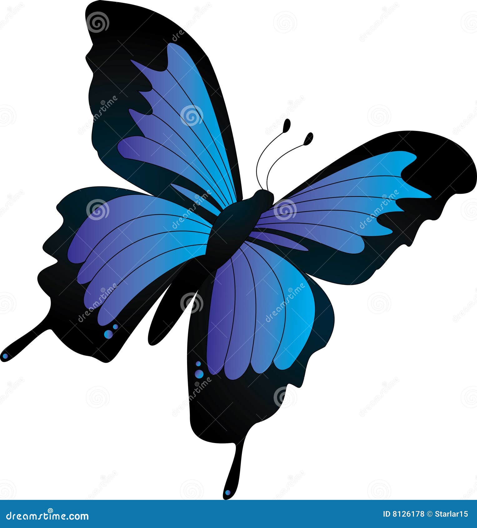 Butterfly Illustration stock vector. Illustration of illustration - 8126178