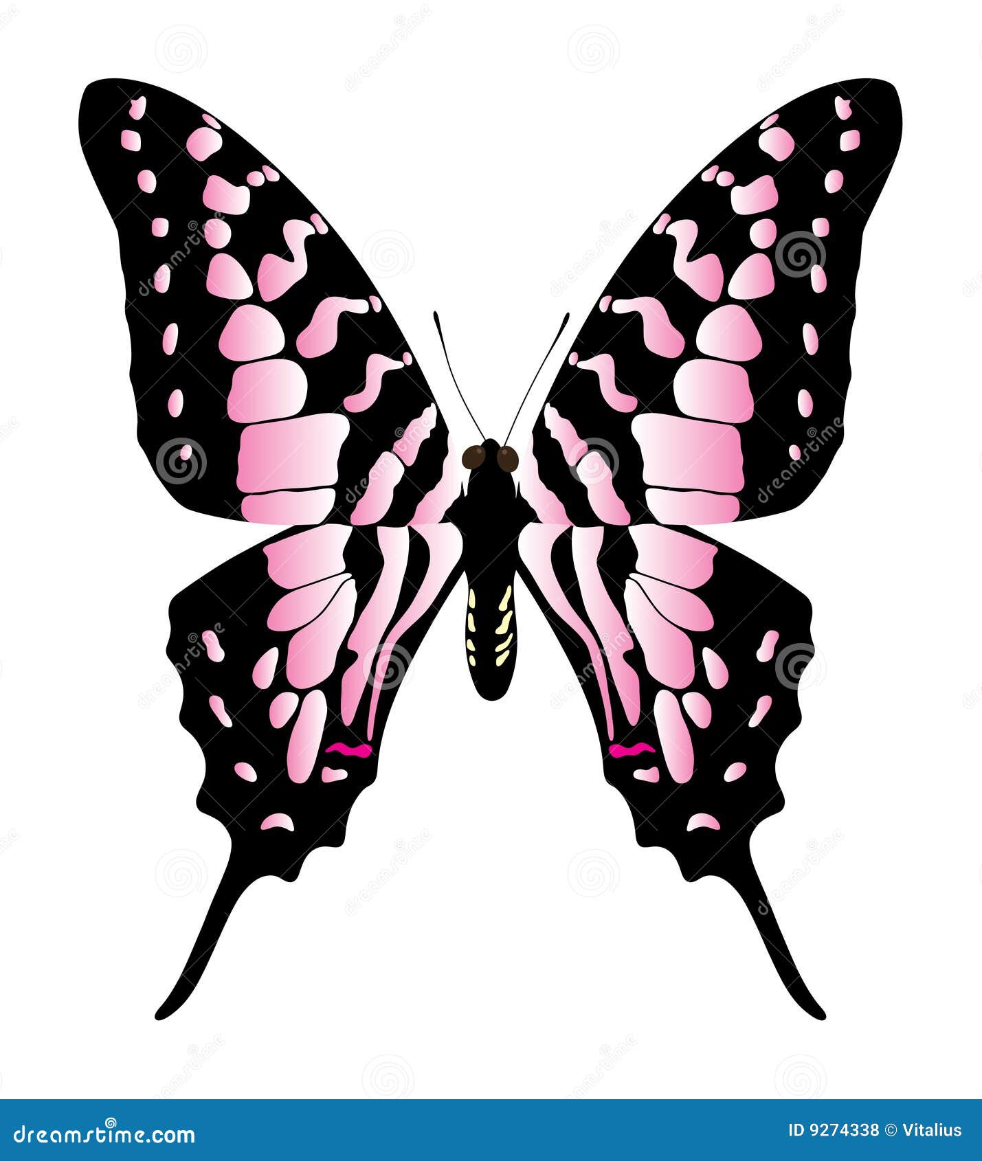 Butterfly Illustration stock vector. Illustration of wildlife - 9274338