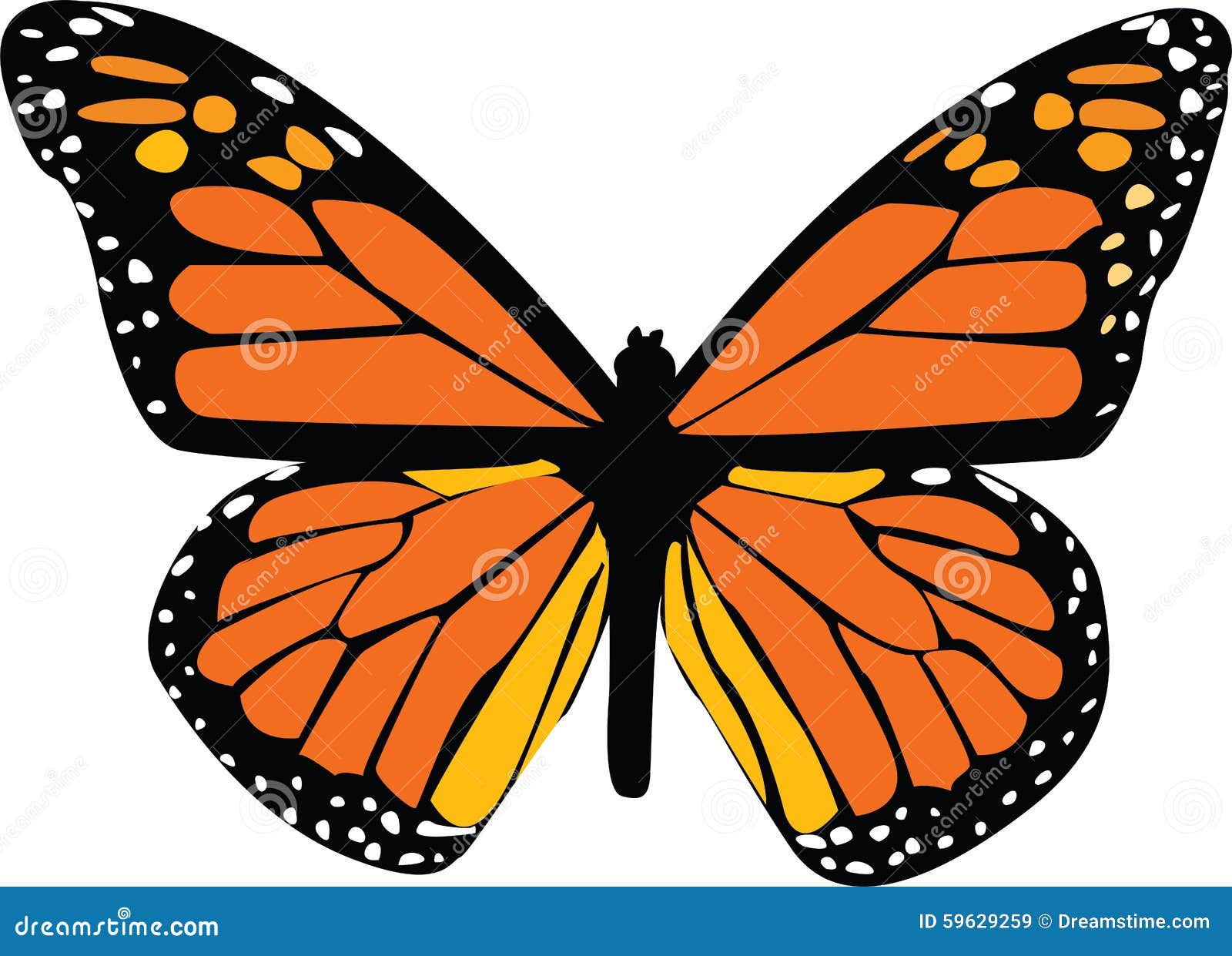 Butterfly illustration stock vector. Illustration of simple - 59629259
